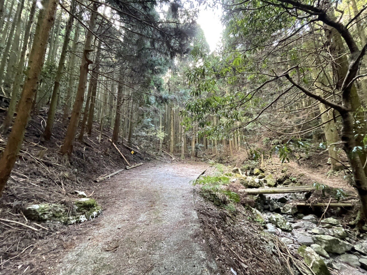 YS-153さんの投稿したフィールドメモ | YAMAP / ヤマップ