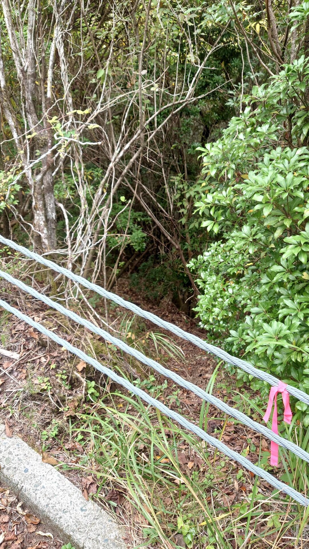 you_foo_dakeさんの投稿したフィールドメモ | YAMAP / ヤマップ