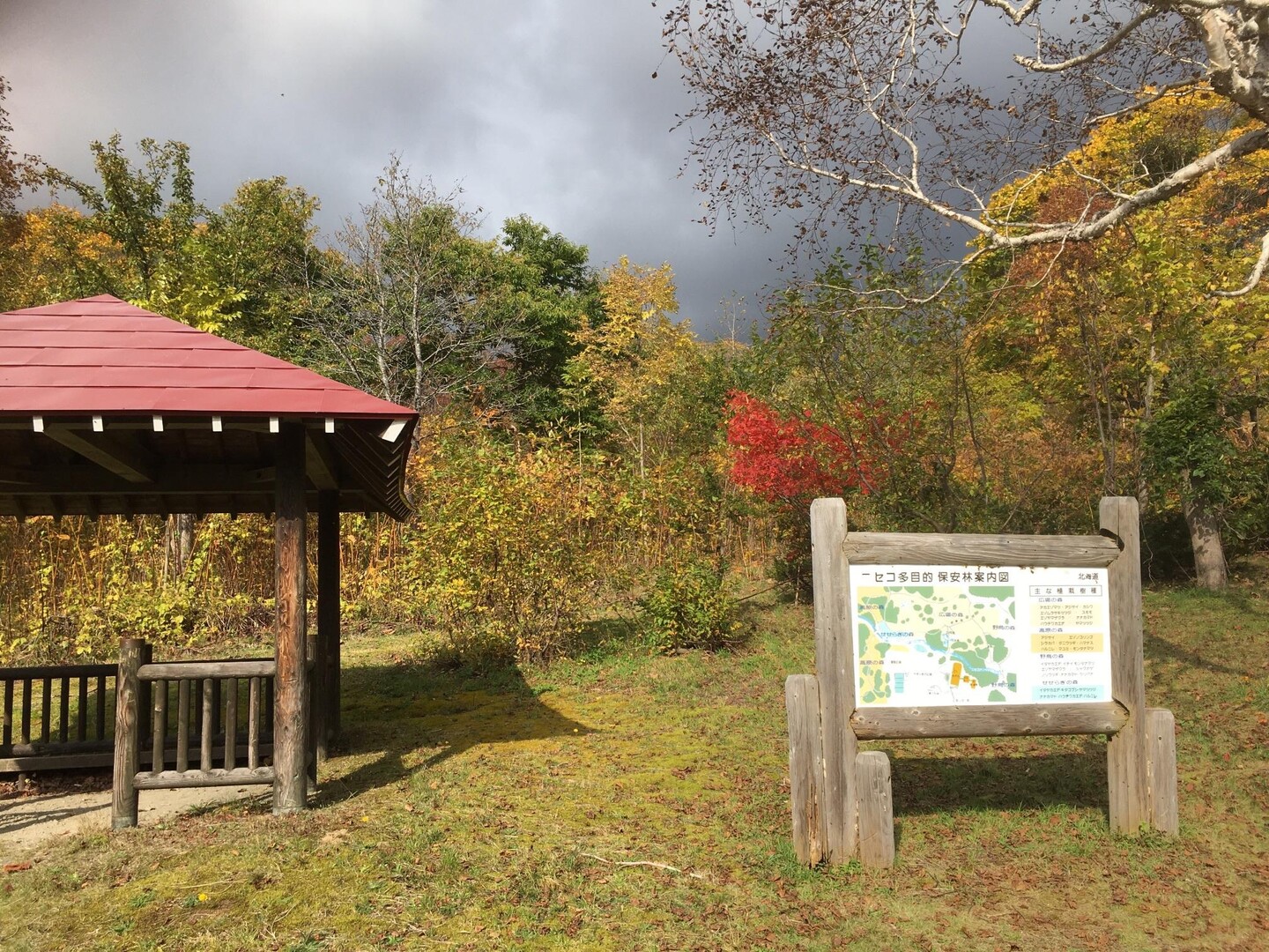 ニセコアンヌプリ多目的保安林 / came-ponさんのニセコアンヌプリ・イワオヌプリ・チセヌプリの活動データ | YAMAP / ヤマップ
