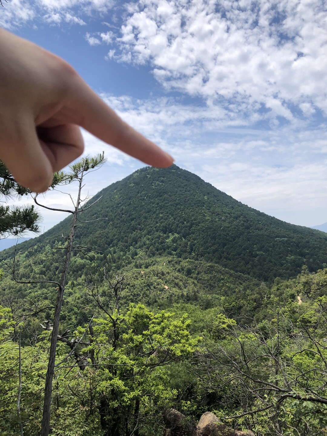 三上山を、特盛りで💕 / まゆこさんの三上山・鏡山の活動データ | YAMAP / ヤマップ