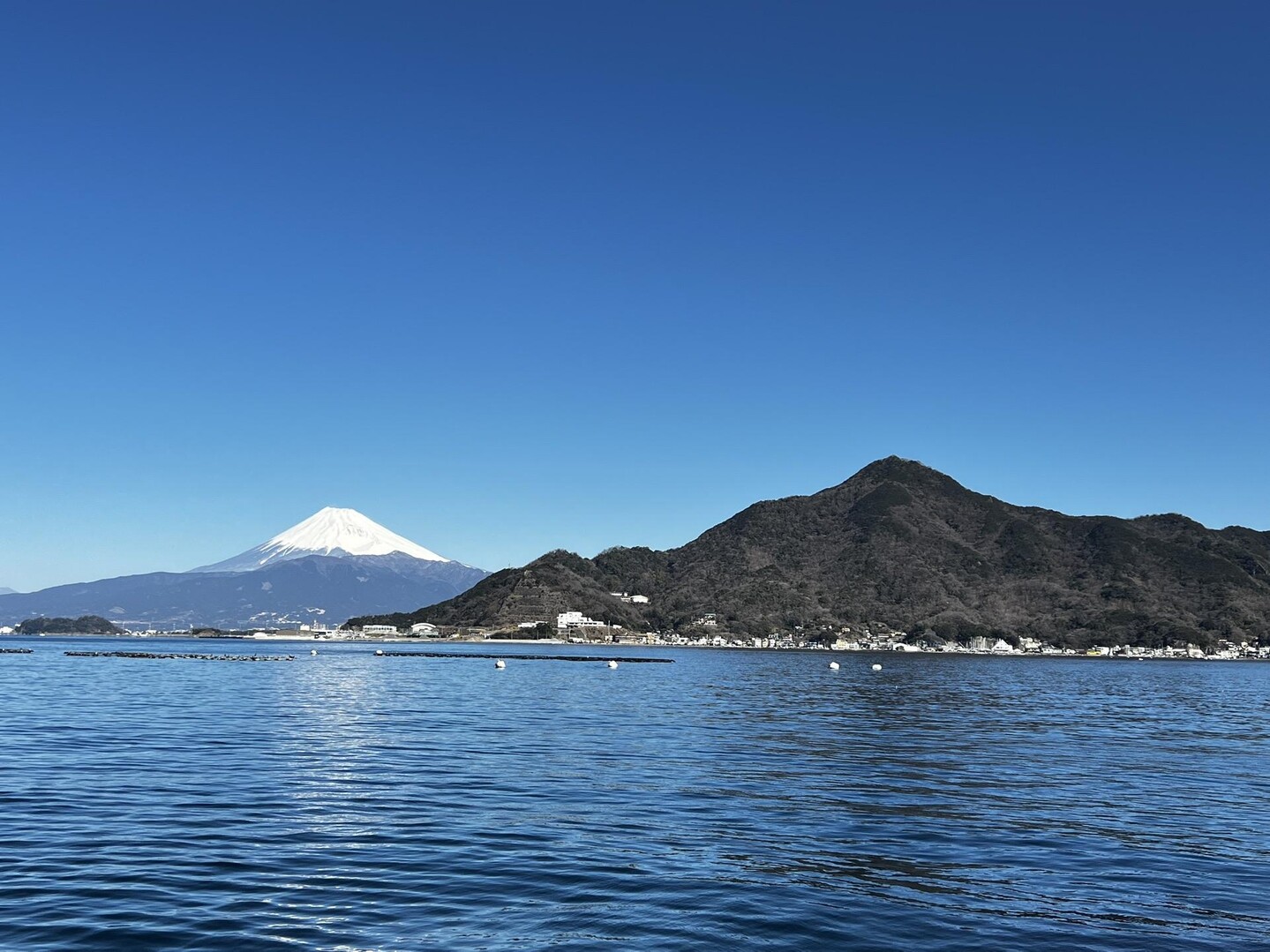 淡島一周散歩 ️🐟 / medamonさんのウォーキングの活動データ | YAMAP / ヤマップ