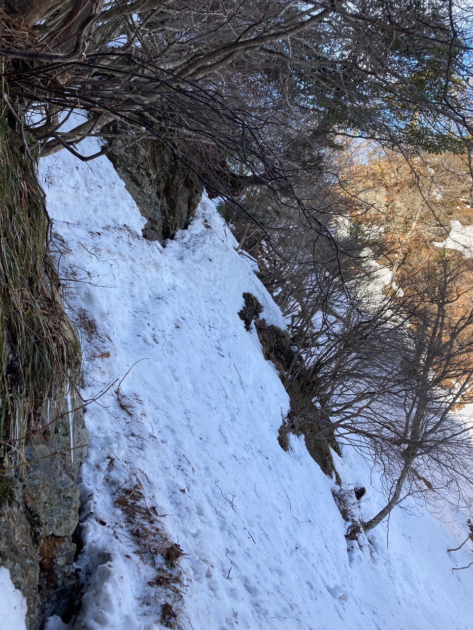 maaasanさんの投稿したフィールドメモ | YAMAP / ヤマップ