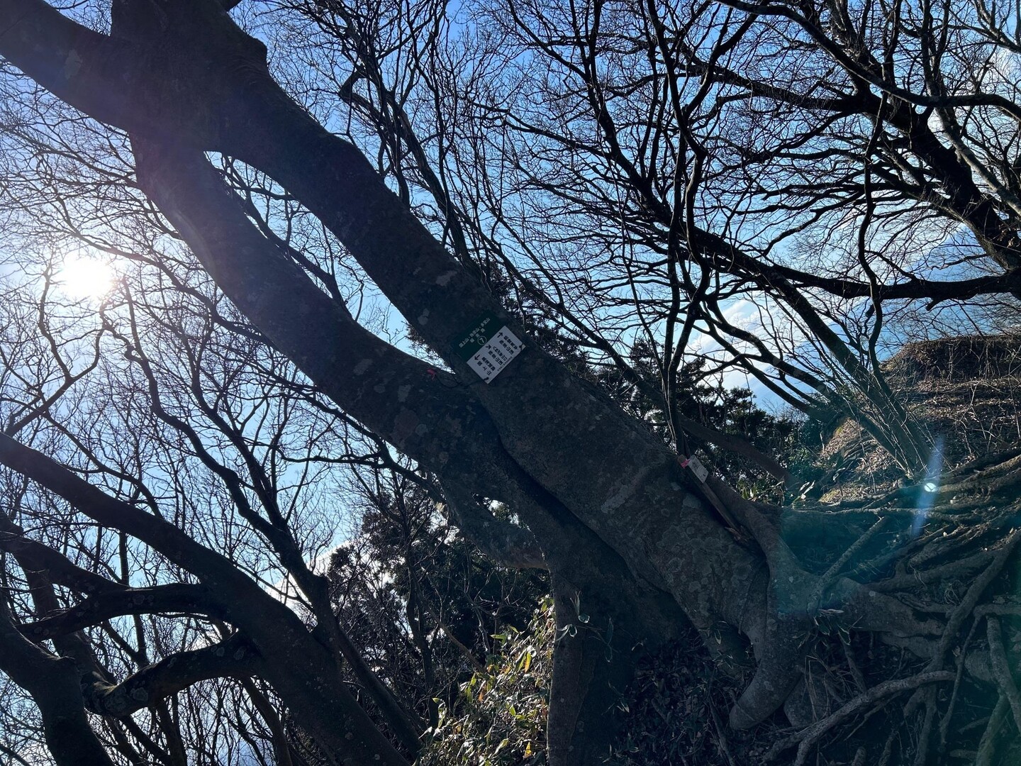 kaizaさんの投稿したフィールドメモ | YAMAP / ヤマップ