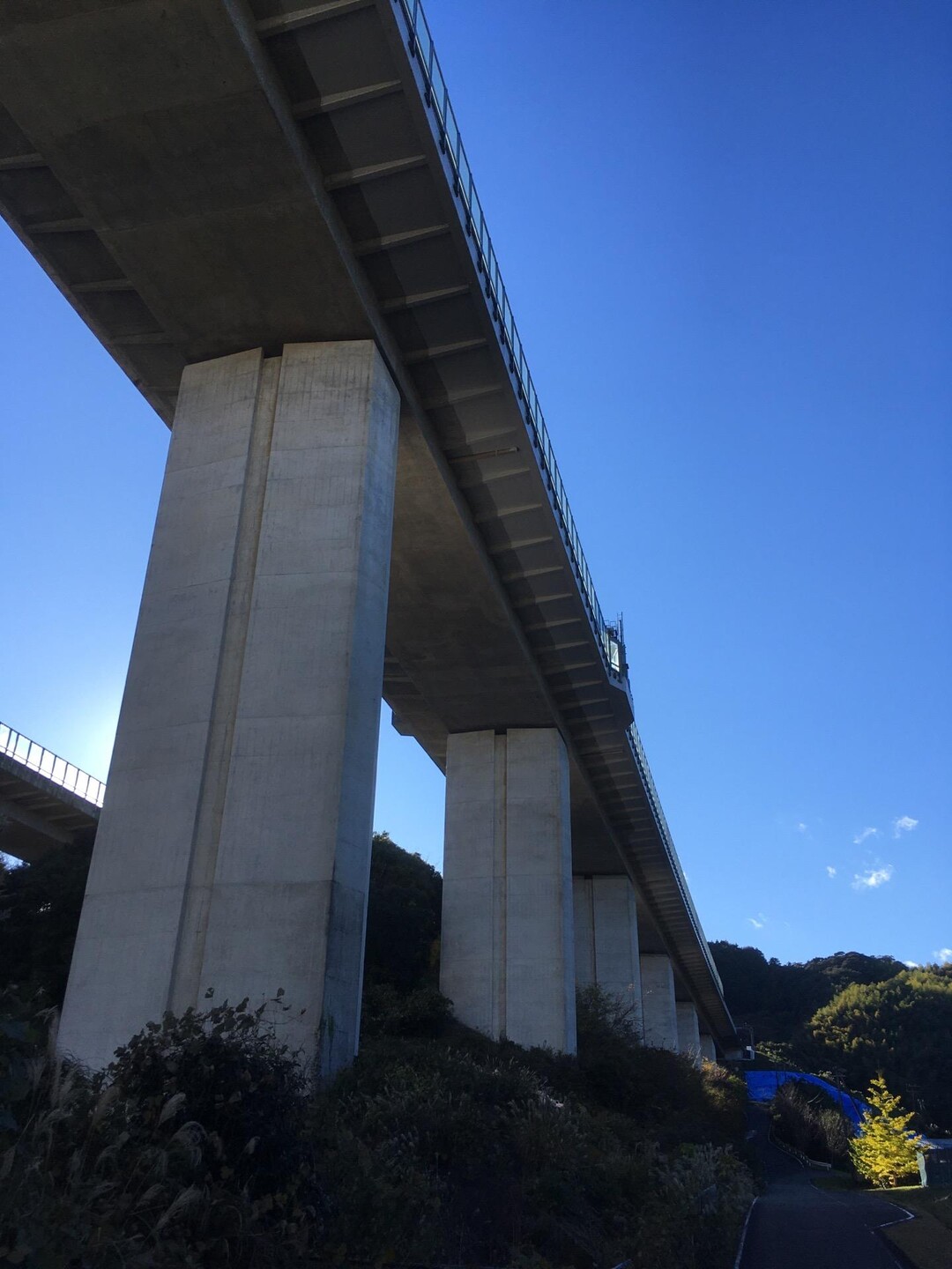 双子山(藤枝) / SIM ∞ (= =･χ) さんの烏帽子形山の活動データ | YAMAP / ヤマップ