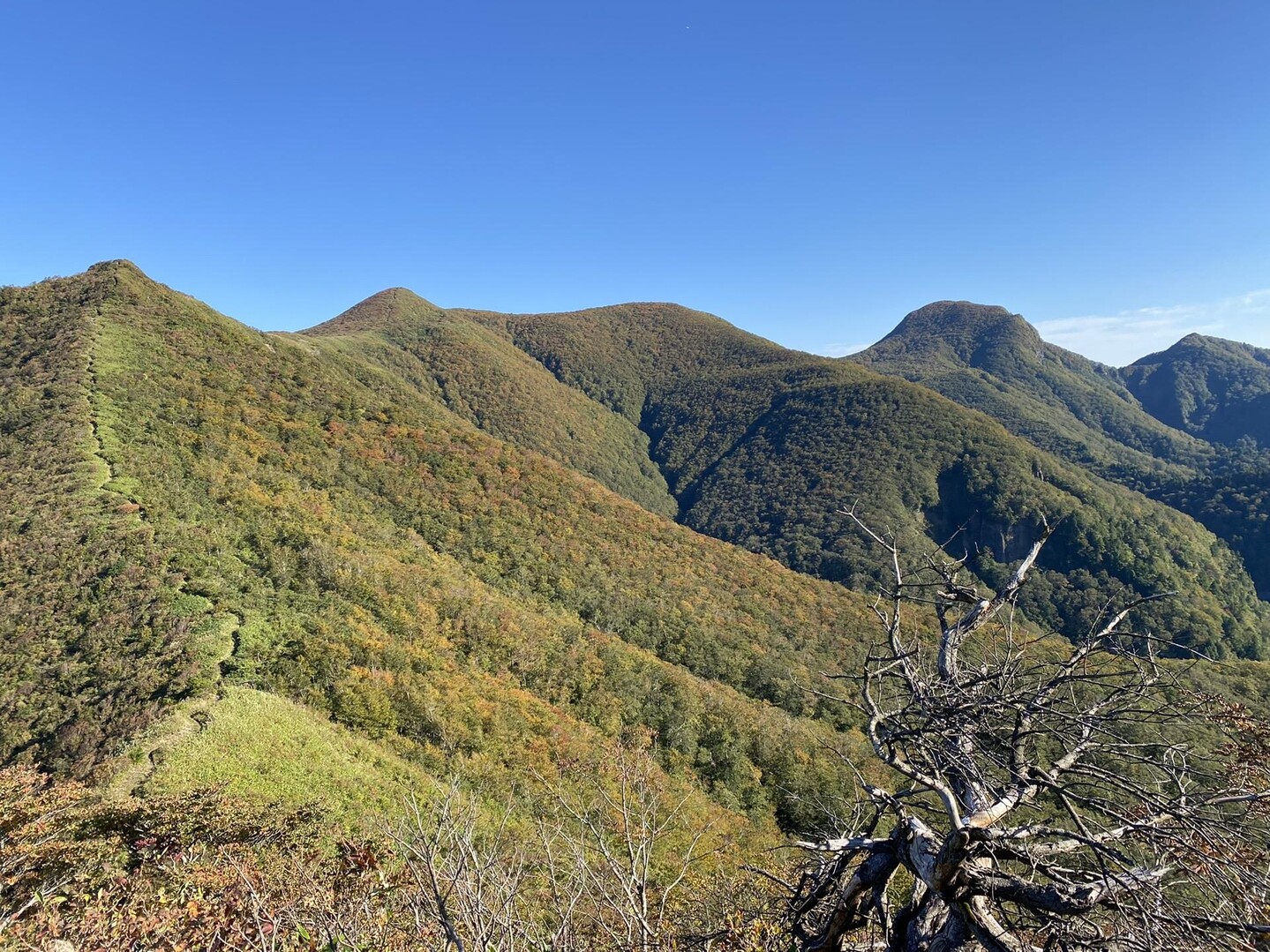 山形神室⛰〜仙台神室⛰まで行ってみんべ登山 / peek a booʕ•ᴥ•ʔさんの面白山・神室岳・大東岳・雨呼山の活動データ | YAMAP / ヤマップ