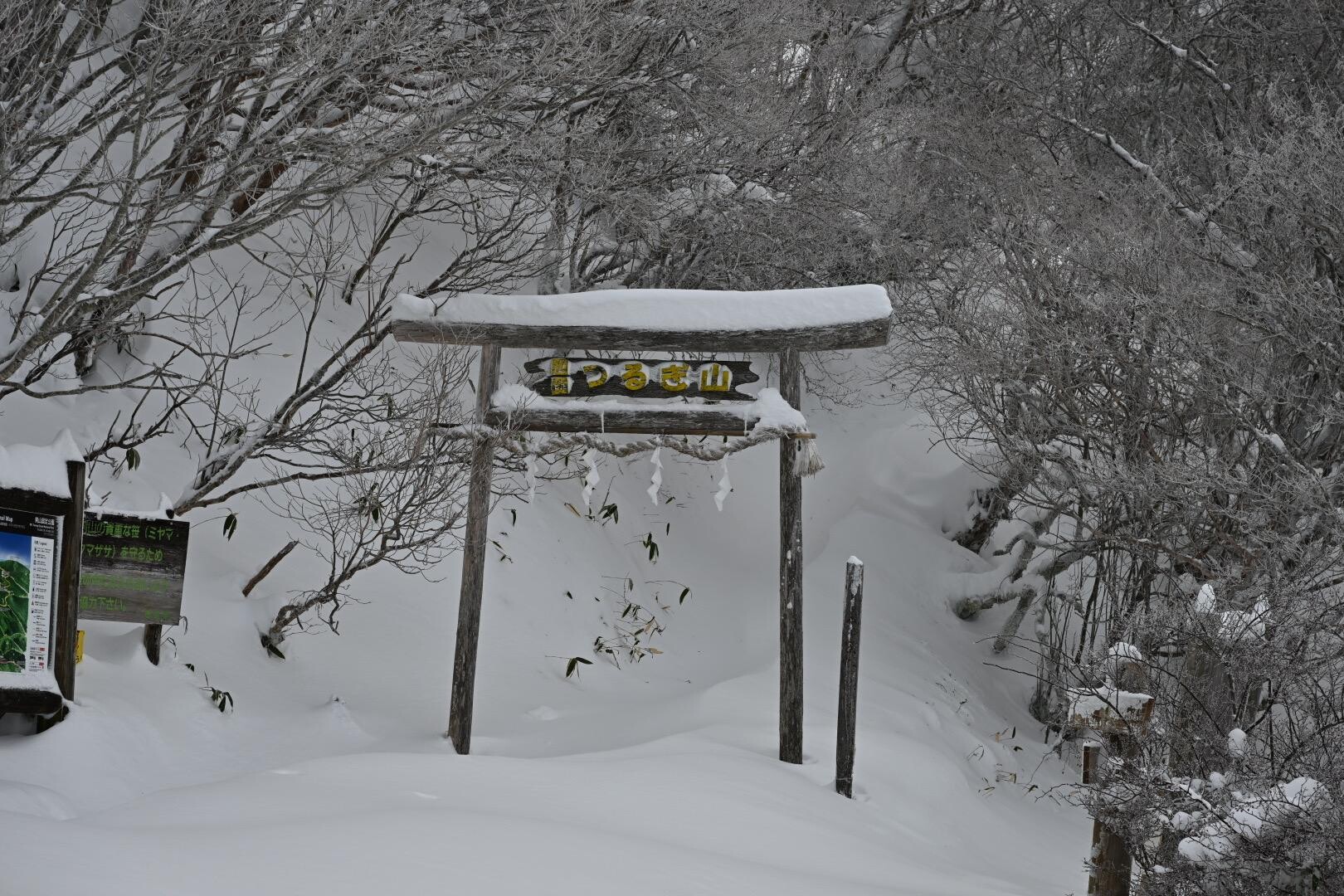 剣山 / A.takanoさんの剣山の活動データ | YAMAP / ヤマップ