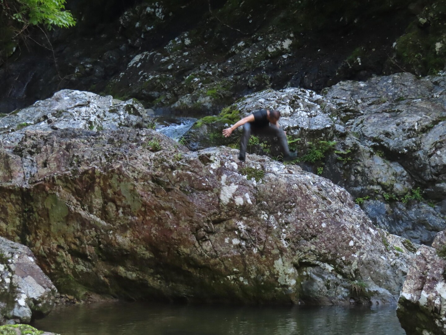 高峰山 / dewarsさんの天狗倉山・便石山・馬越峠（熊野古道伊勢路）の活動データ | YAMAP / ヤマップ