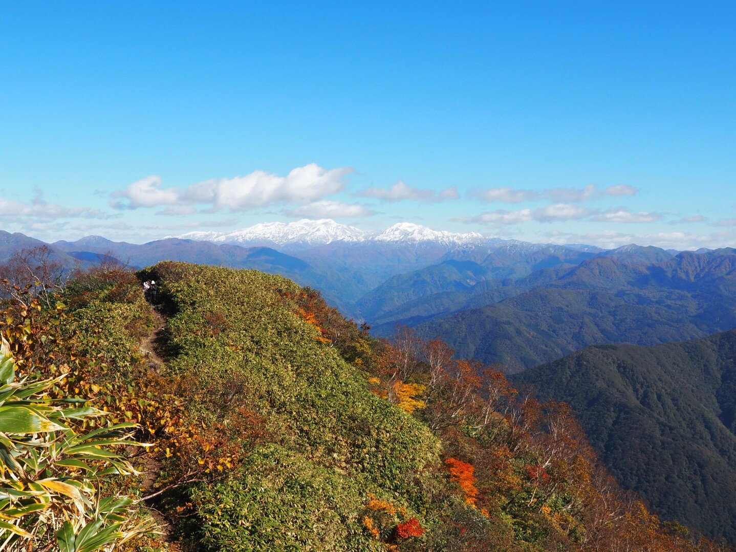 小荒島岳・前荒島岳・中荒島岳・荒島岳 / mokaさんの荒島岳の活動データ | YAMAP / ヤマップ