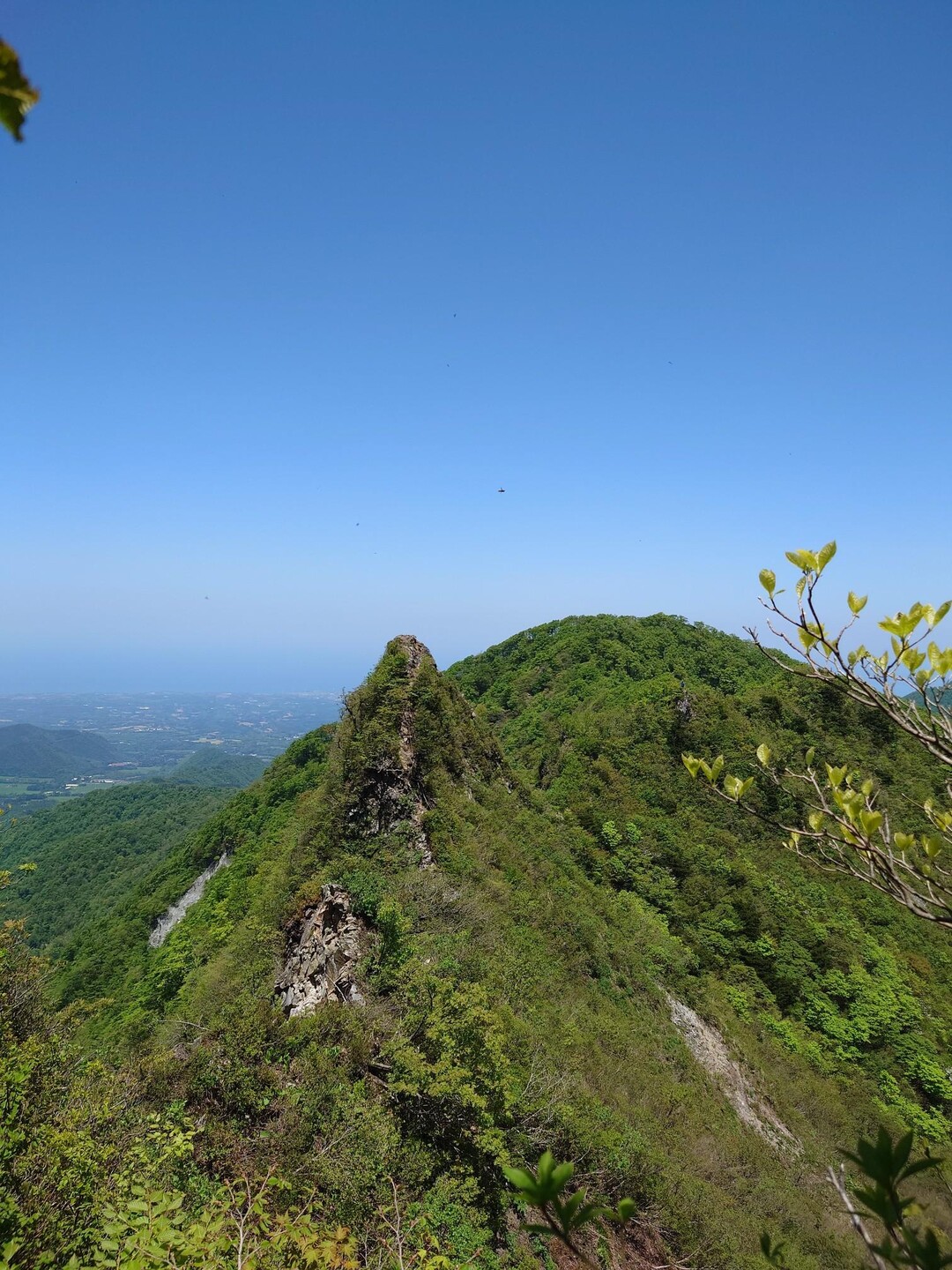 ユートピア〜大休峠〜川床 / Sarahさんの大山・甲ヶ山・野田ヶ山の活動データ | YAMAP / ヤマップ