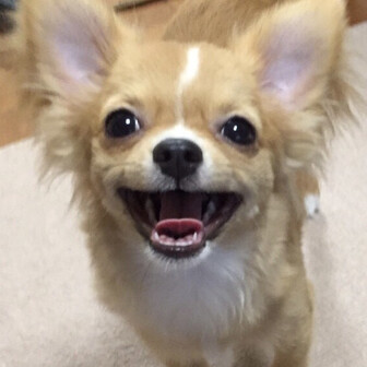 HIROのページ | YAMAP / ヤマップ