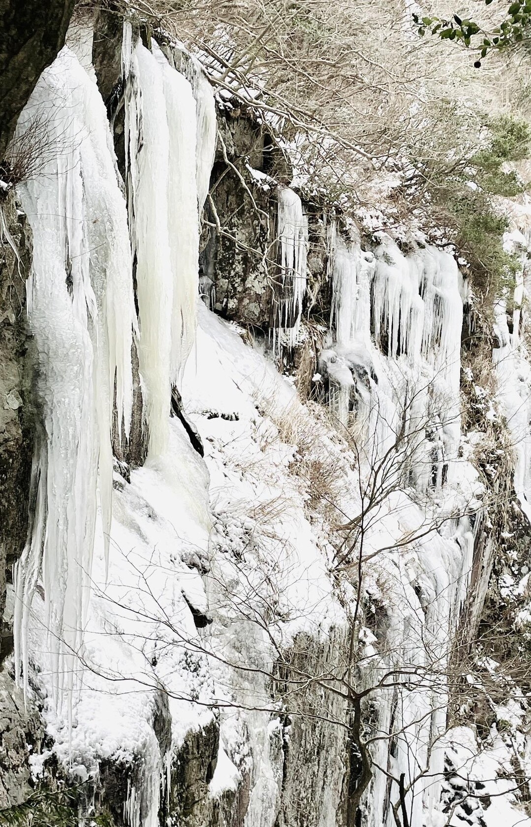 頭巾山・三郡山 / siopanさんの宝満山・三郡山・若杉山の活動データ | YAMAP / ヤマップ
