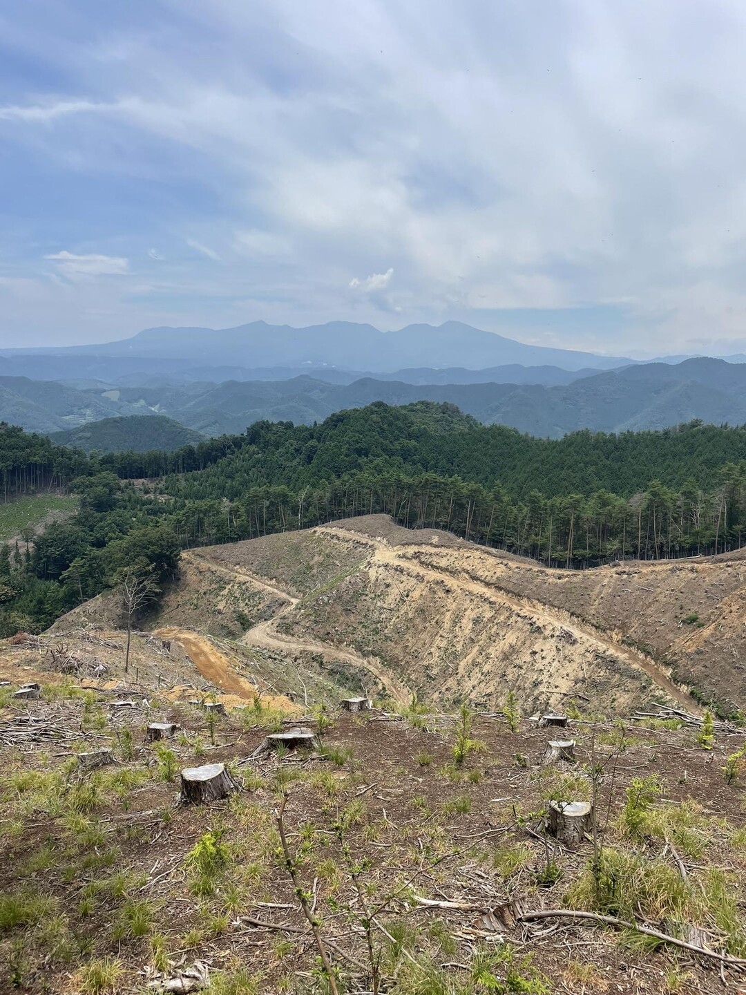 吾妻山・女吾妻山 / katsuyaさんの鳴神山・吾妻山の活動データ | YAMAP / ヤマップ