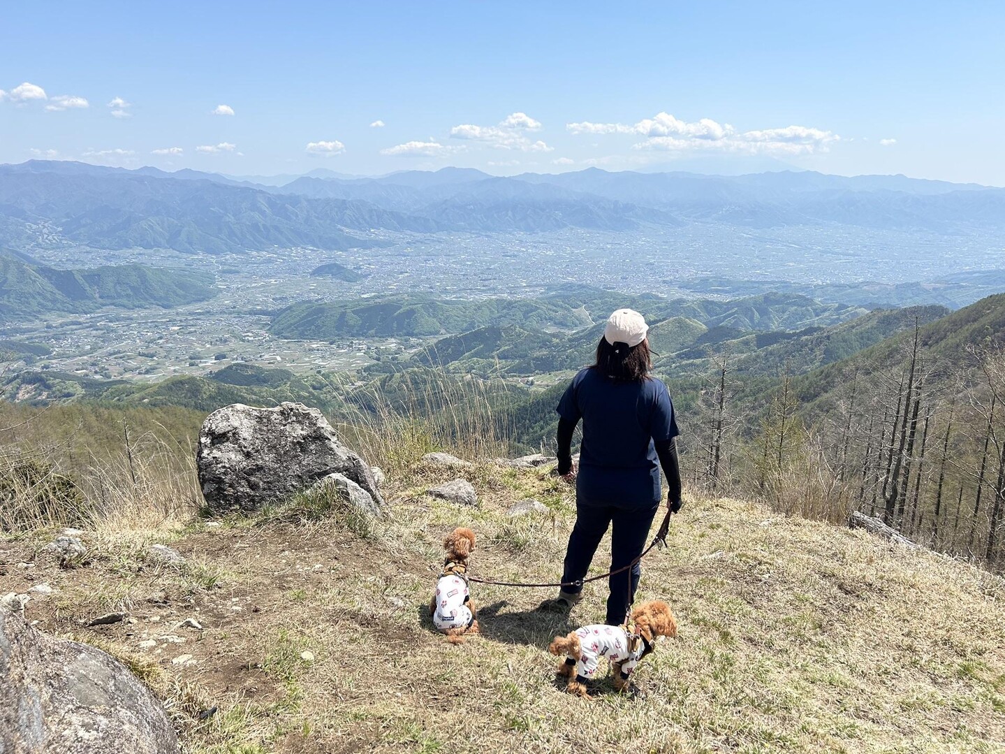 小楢山 / fuu-rinさんの小楢山・妙見山・乙女高原の活動データ | YAMAP / ヤマップ