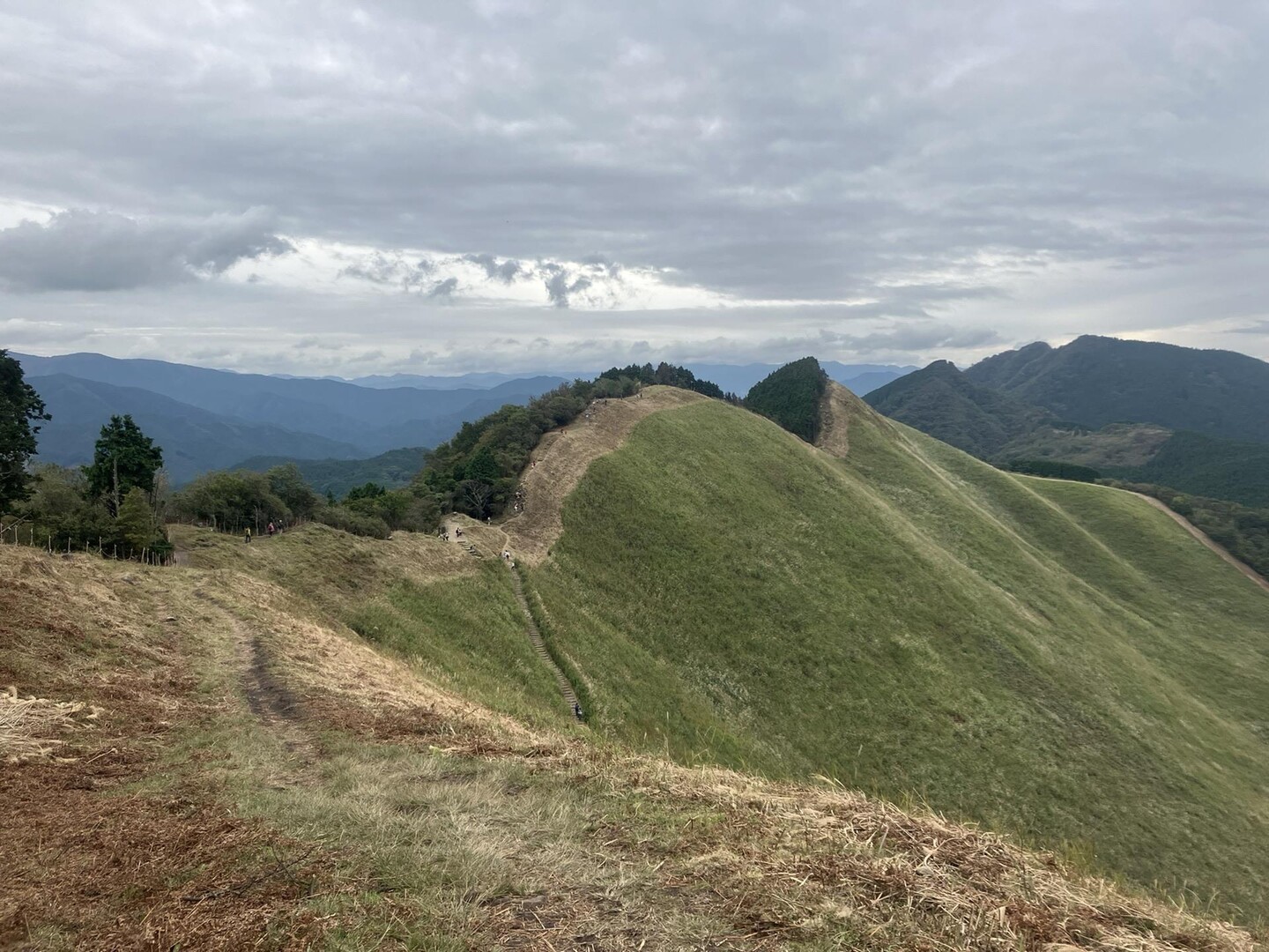 二本ボソ・倶留尊山・亀山 / Masaさんの倶留尊山・曽爾高原・古光山の活動データ | YAMAP / ヤマップ