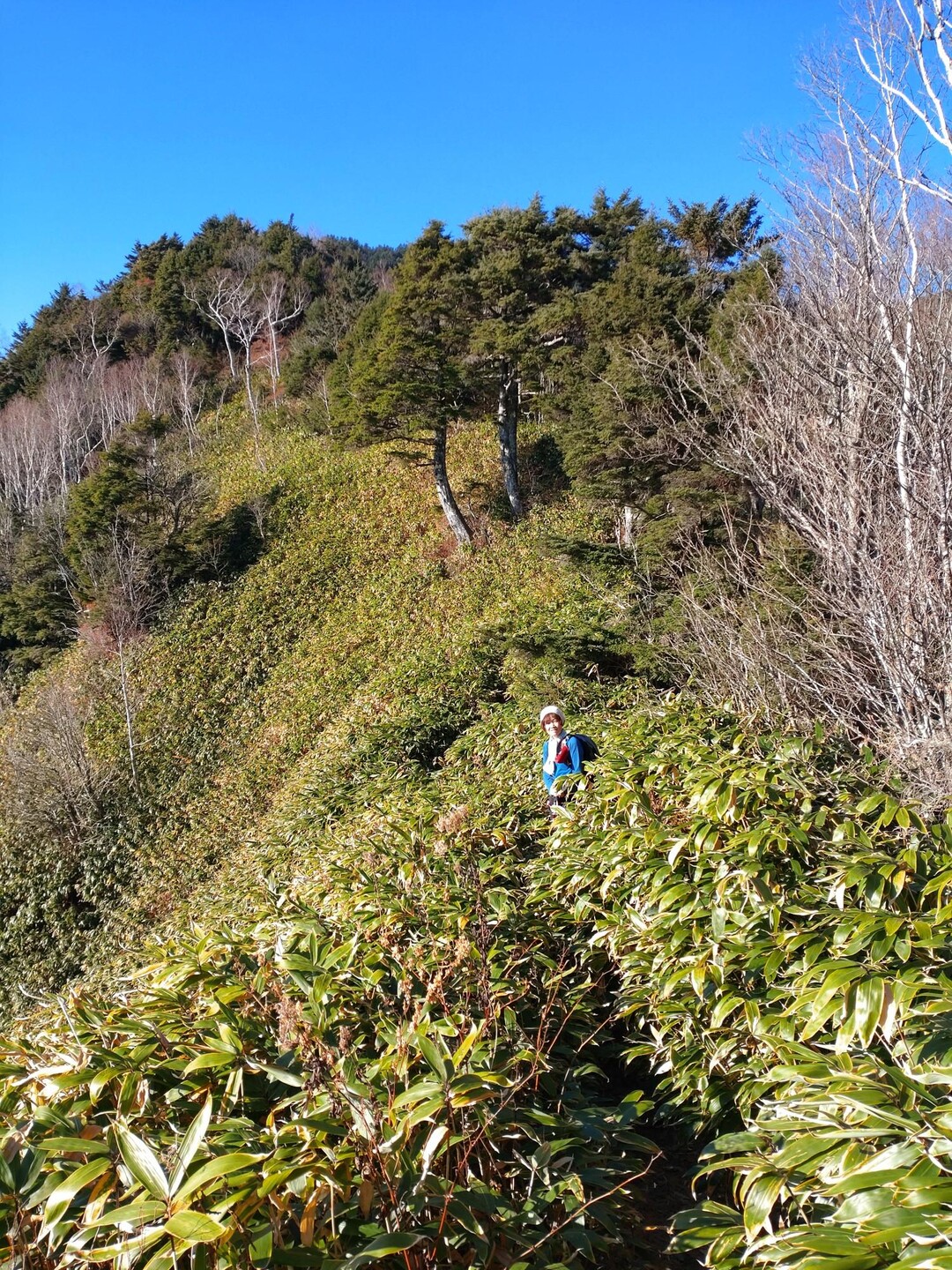 恵那山 / hana0910さんの恵那山・大判山・神坂山の活動データ | YAMAP / ヤマップ