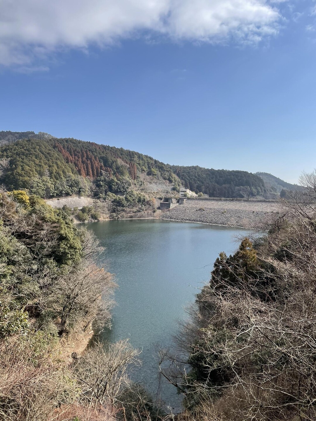 箕面山からみのお記念の森、箕面川ダムへ / otorinさんの六個山・鉢伏山・明ヶ田尾山・五月山の活動日記 | YAMAP / ヤマップ