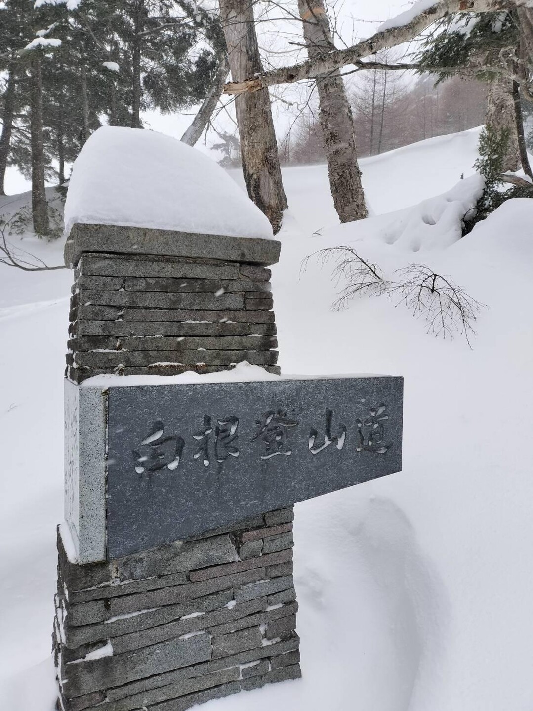 息子と日光白根山 爆風にて撤退温泉マッタリ♨️ / Blue Sky Blueさんの日光白根山・五色山・錫ヶ岳の活動データ | YAMAP / ヤマップ