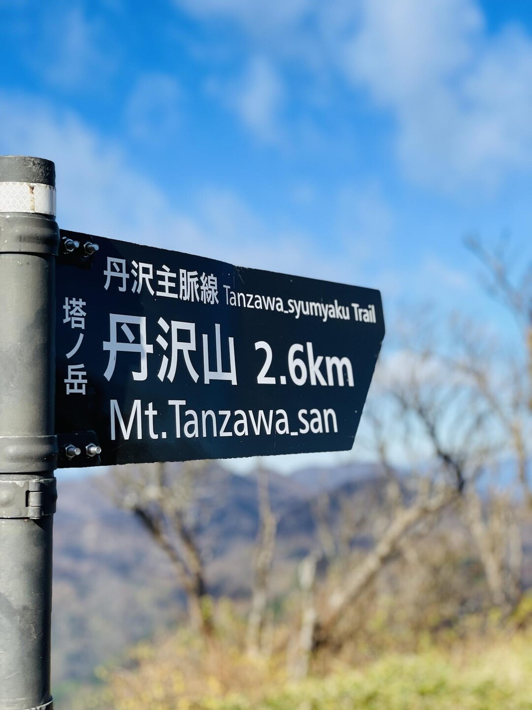 久しぶりに丹沢山へ⛰️ / Mtrさんの塔ノ岳・丹沢山・蛭ヶ岳の活動日記 | YAMAP / ヤマップ