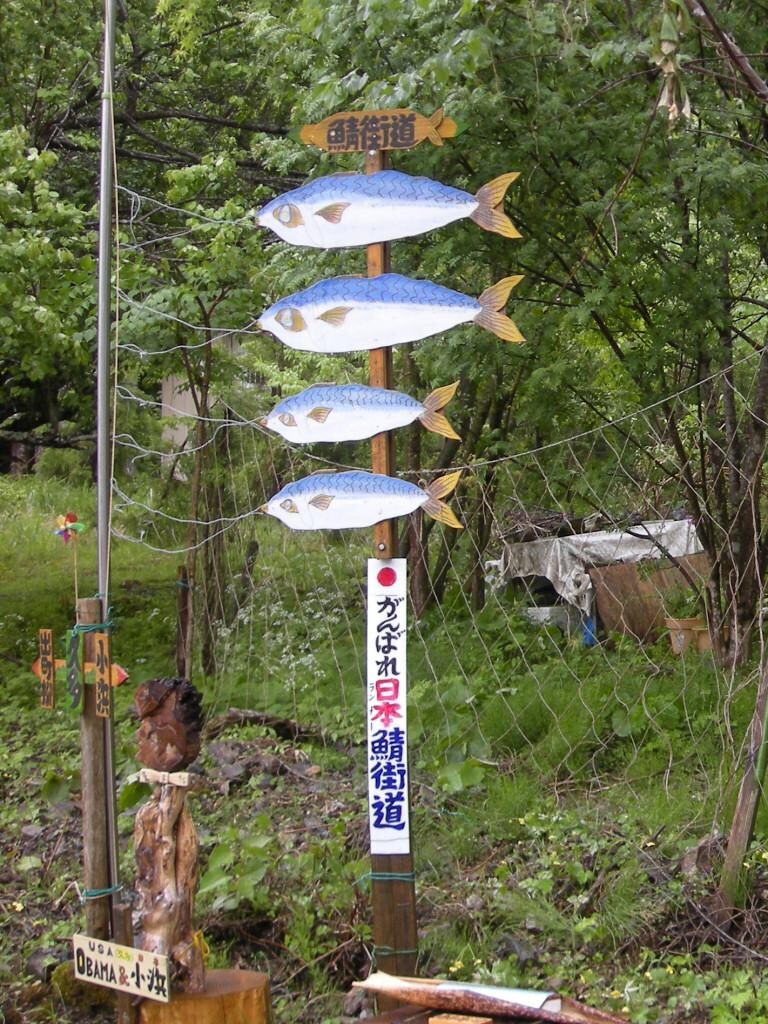 YANAPYのページ | YAMAP / ヤマップ