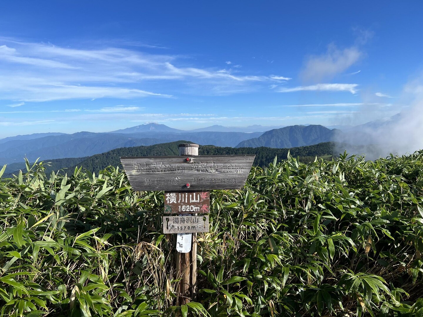南沢山・横川山（湯舟沢山） / togonovoさんの恵那山・大判山・神坂山の活動データ | YAMAP / ヤマップ