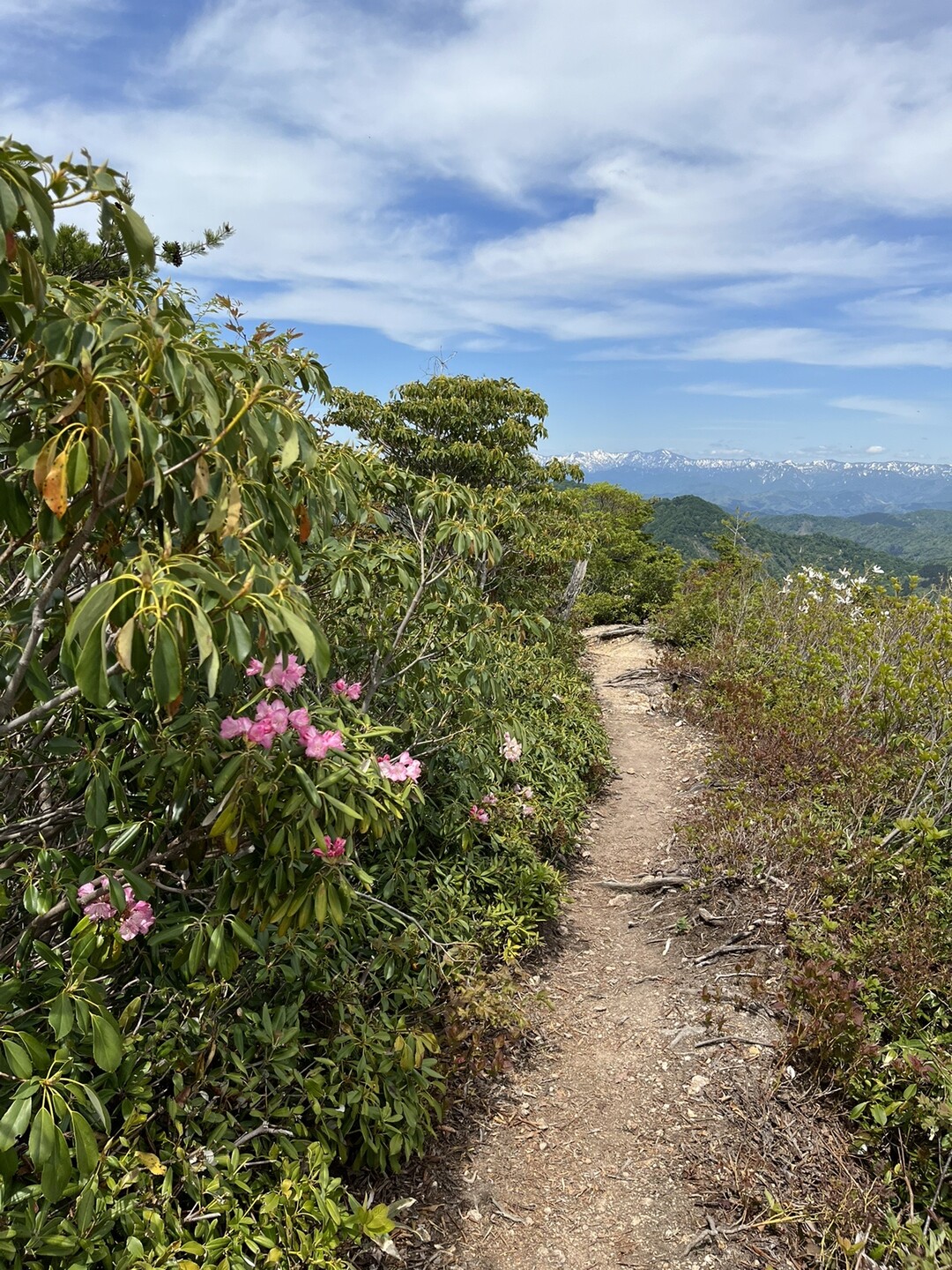 登山日和の倉手山⛰⛰ / w823hさんの倉手山の活動データ | YAMAP / ヤマップ