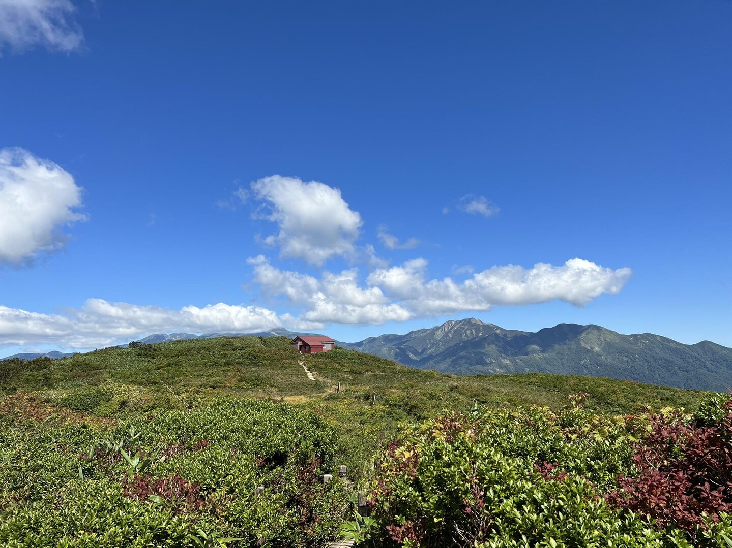 赤兎山 / TERUさんの赤兎山・猪鼻山の活動データ | YAMAP / ヤマップ