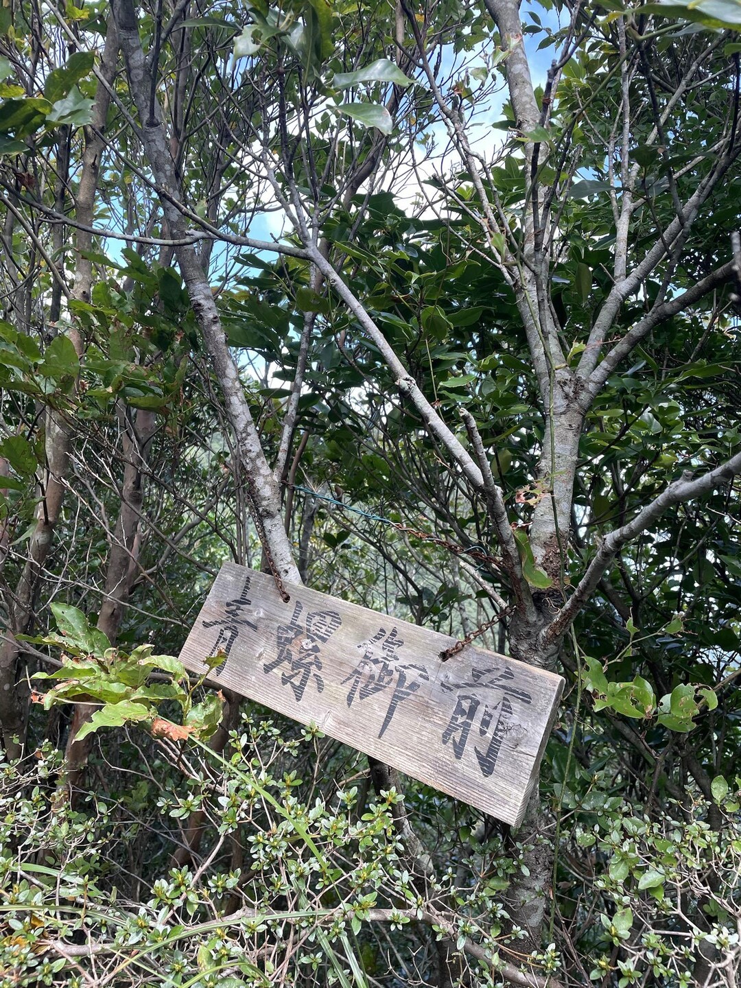 牧II峰（青牧山）・牧ノ山 / タケウチさんの黒髪山・青螺山の活動データ | YAMAP / ヤマップ