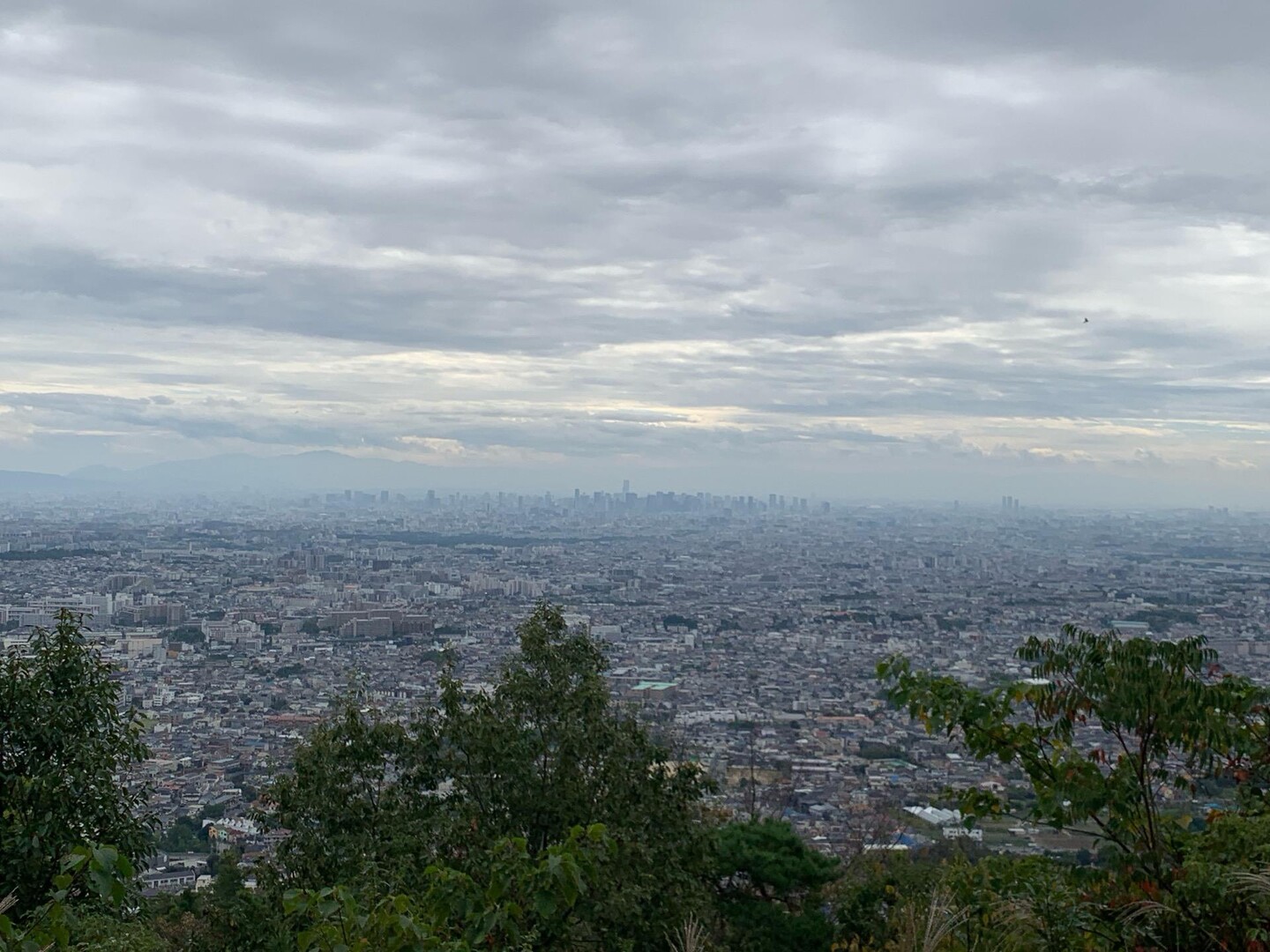 池田（五月山）〜六個山〜箕面滝道 / rieさんの六個山・鉢伏山・明ヶ田尾山・五月山の活動データ | YAMAP / ヤマップ