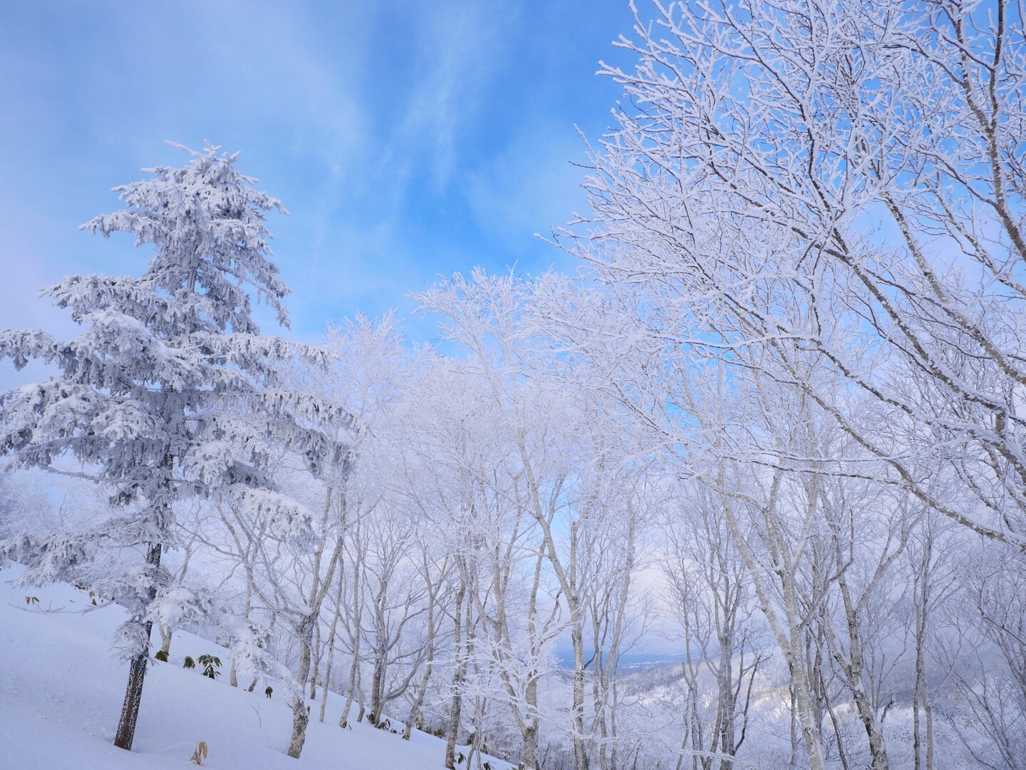 狩勝山 / まさひろさんのGT3 6の活動データ | YAMAP / ヤマップ