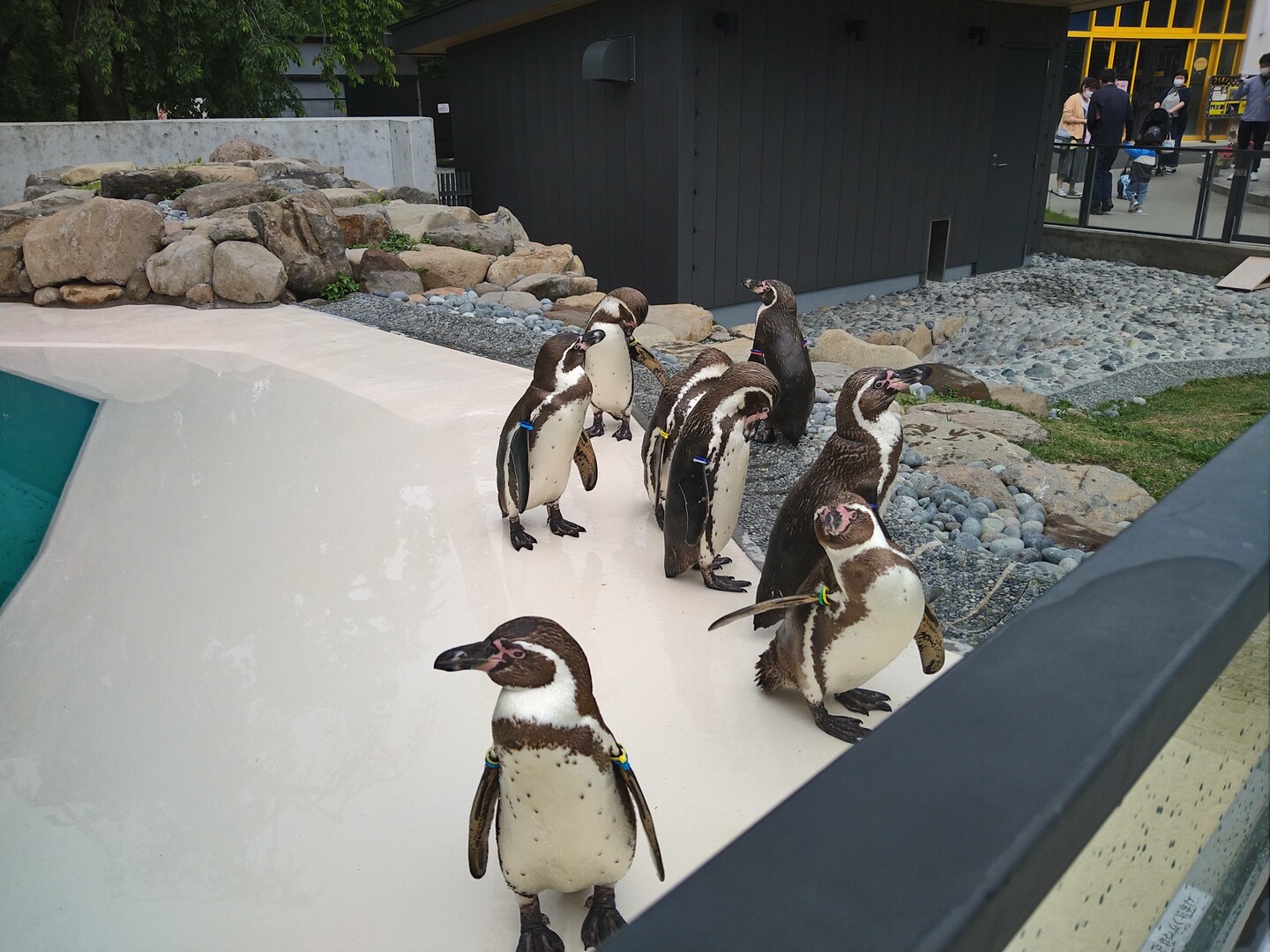 小諸城跡-2022-06-12 / koniさんの松倉山の活動データ | YAMAP / ヤマップ