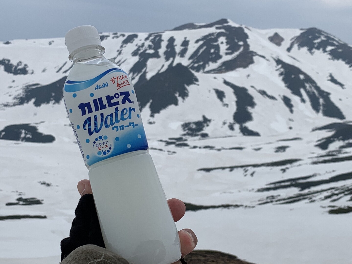 連日の旭岳BC / bono.さんの大雪山系・旭岳・トムラウシの活動データ | YAMAP / ヤマップ