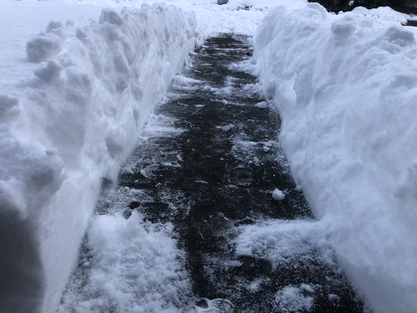 朝起きて30cm以上はある積雪⛄️ 今日... / Naluさんのモーメント | YAMAP / ヤマップ