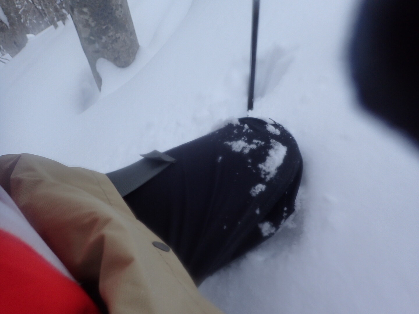 直登堪能 泉ヶ岳 表コース / niceageさんの船形山（御所山）・泉ヶ岳・蛇ヶ岳の活動データ | YAMAP / ヤマップ