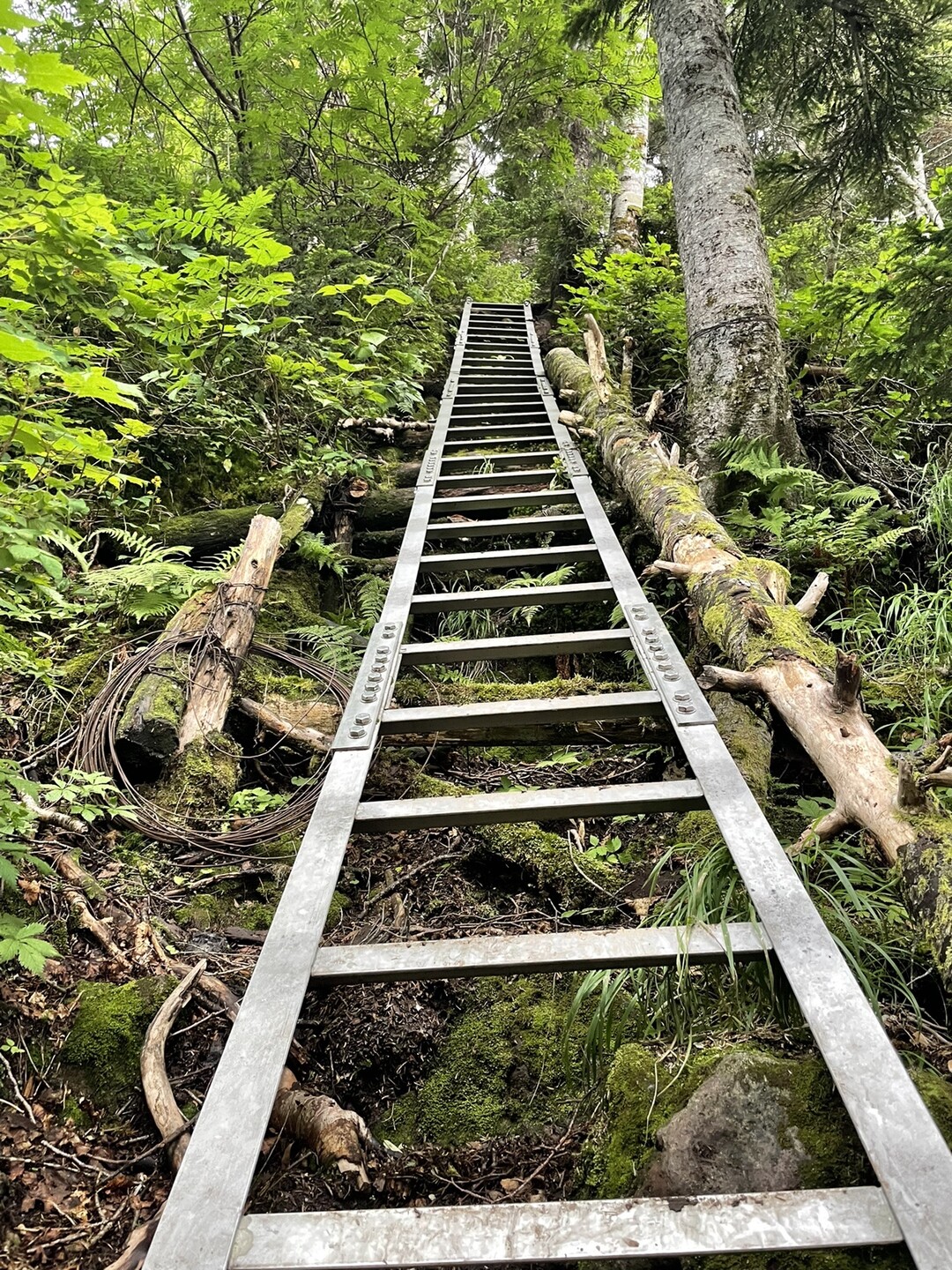 yuccoさんの投稿したフィールドメモ | YAMAP / ヤマップ