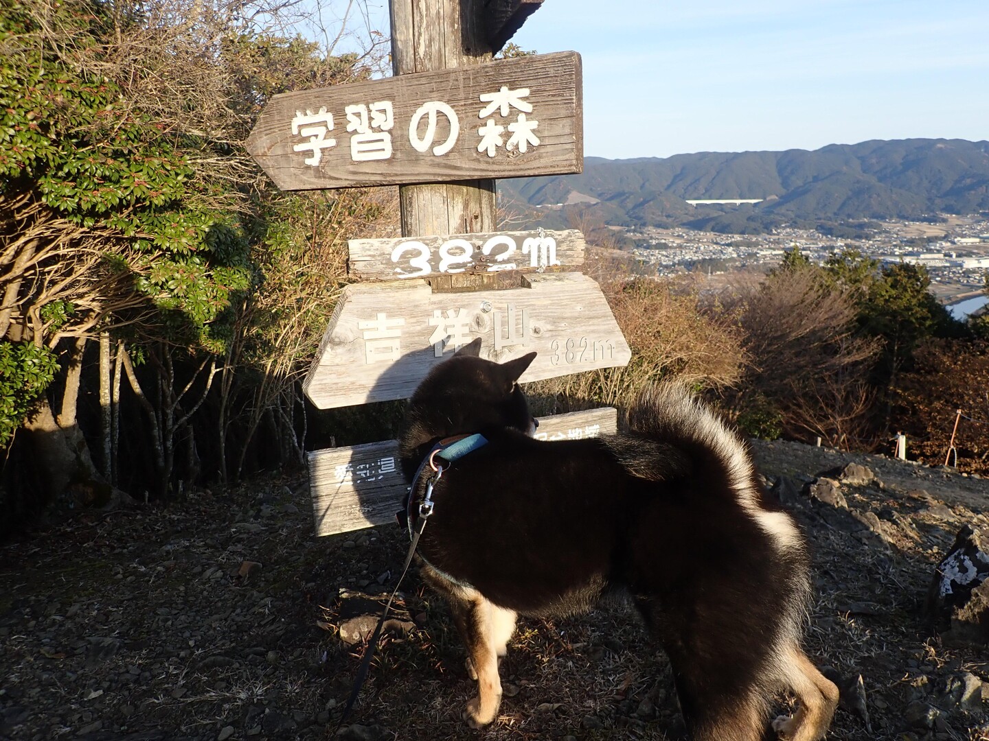 241220-1_吉祥山(愛知130山/じろうまるコラボ-56-1) / EIZさんの吉祥山の活動日記 | YAMAP / ヤマップ