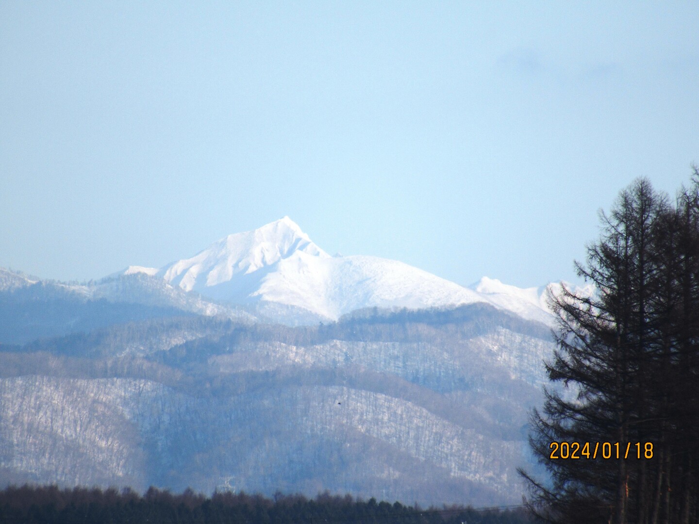 ランニング-2024-01-18 / miyaさんのランニングの活動データ | YAMAP / ヤマップ