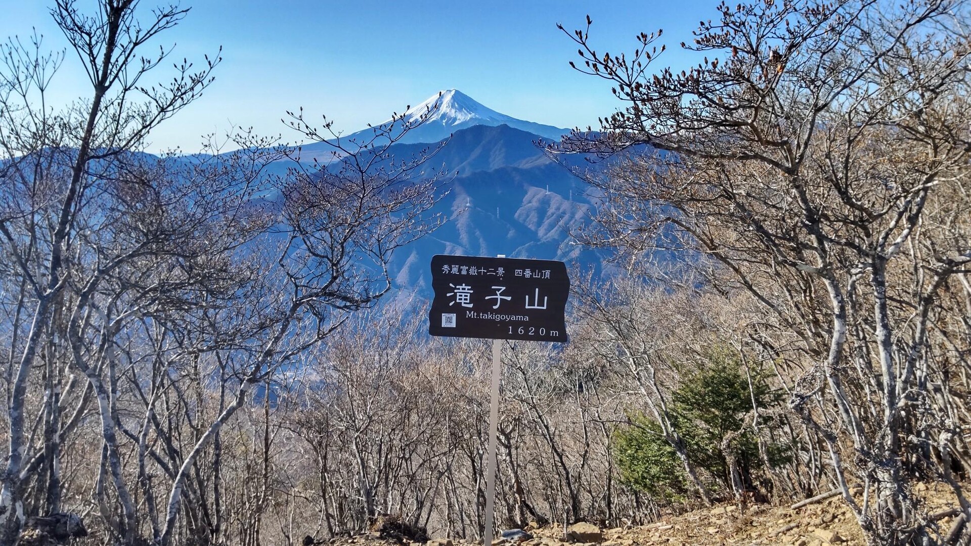 滝子山 / skさんの滝子山・大谷ヶ丸・笹子雁ヶ腹摺山の活動データ | YAMAP / ヤマップ