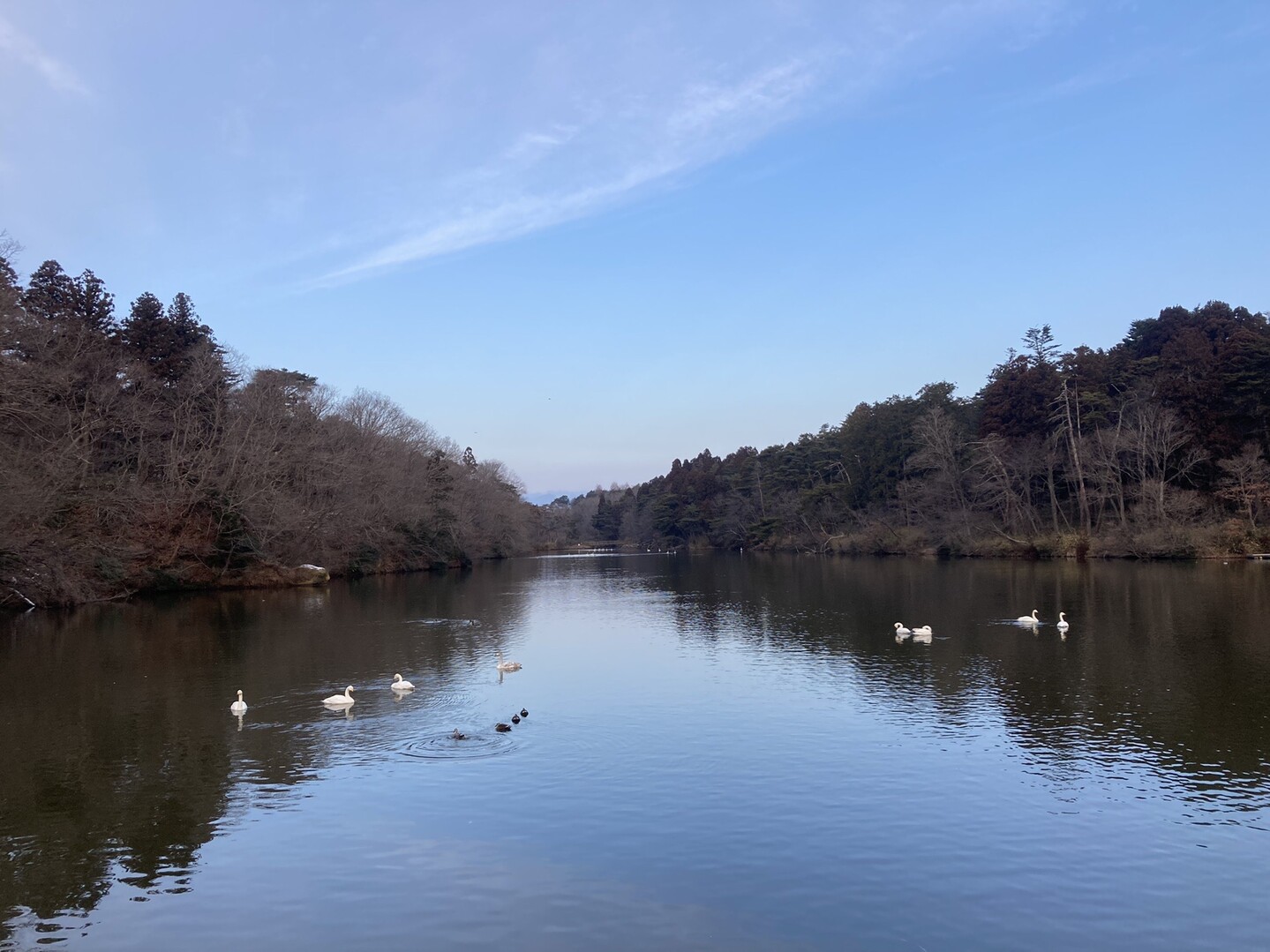 おはようございます^ ^ 今朝は雲も少... / OBsunさんのモーメント | YAMAP / ヤマップ