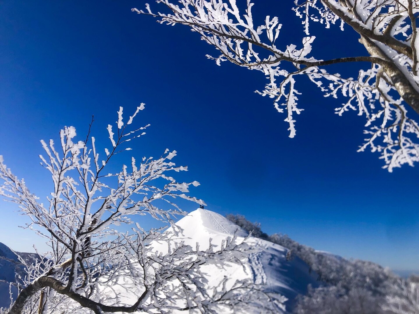 霧氷があって、ピーカンの時にしか撮れない... / Naluさんのモーメント | YAMAP / ヤマップ