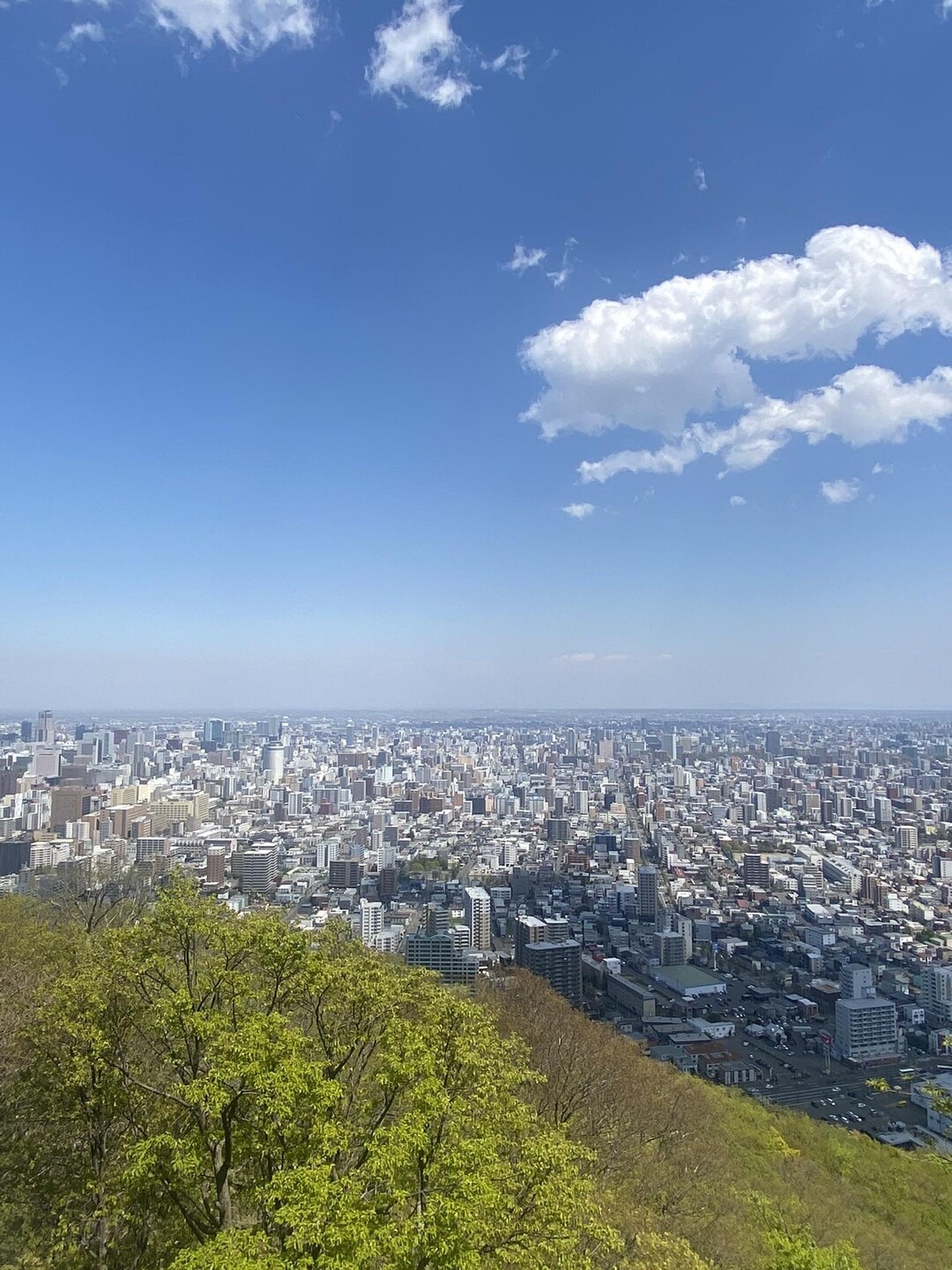 円山 / YURIさんの三角山・大倉山・円山の活動データ | YAMAP / ヤマップ