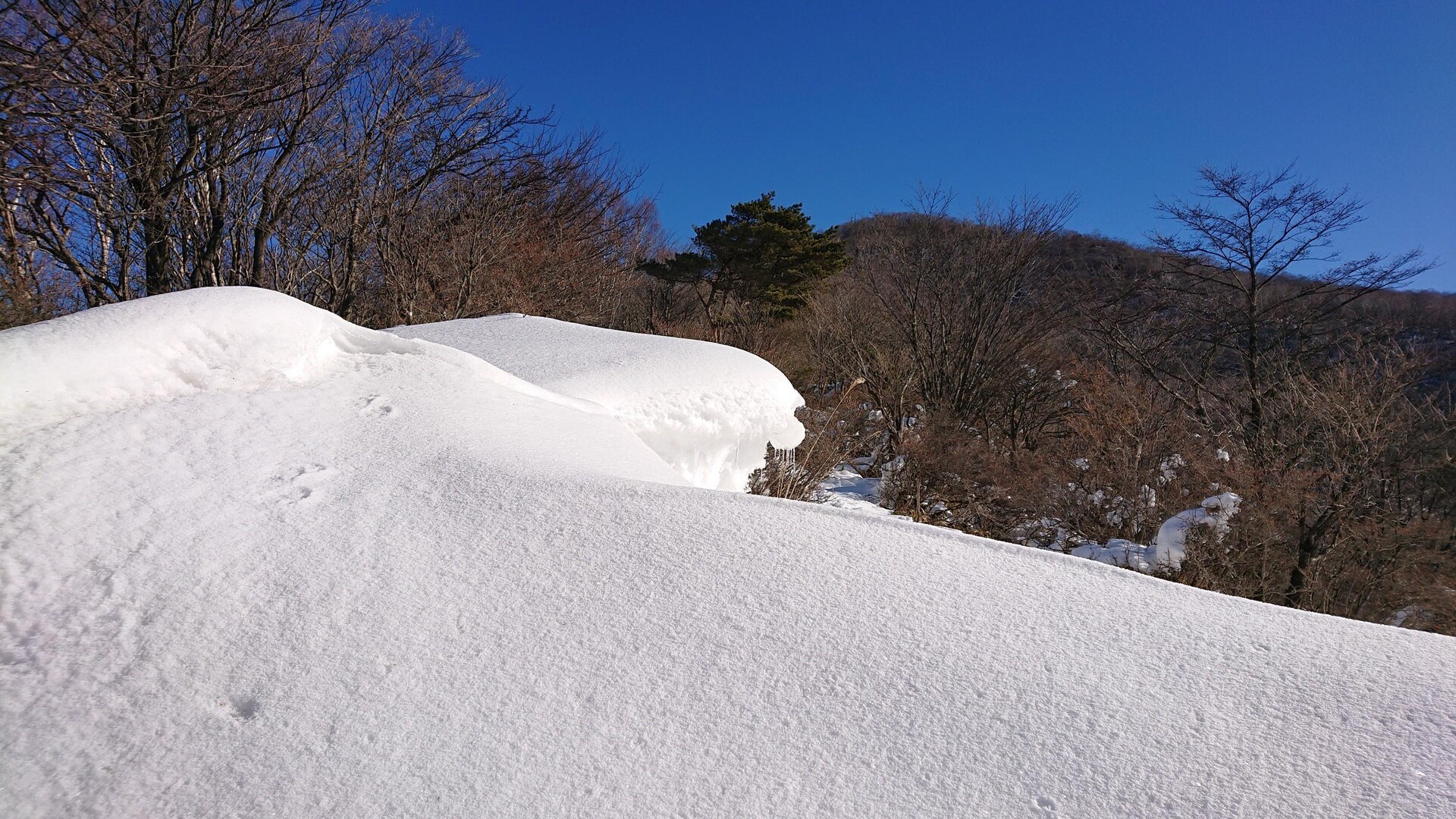 荒山&鍋割山 / tmykさんの赤城山・黒檜山・荒山の活動データ | YAMAP / ヤマップ
