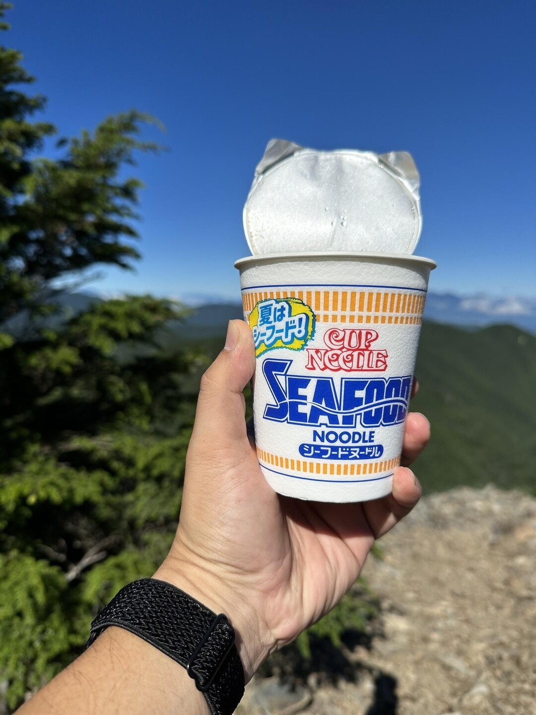 甲武信ヶ岳・三宝山・武信白岩山（南峰）・武信白岩山（北峰）・大山 / syunziさんの甲武信ヶ岳の活動データ | YAMAP / ヤマップ