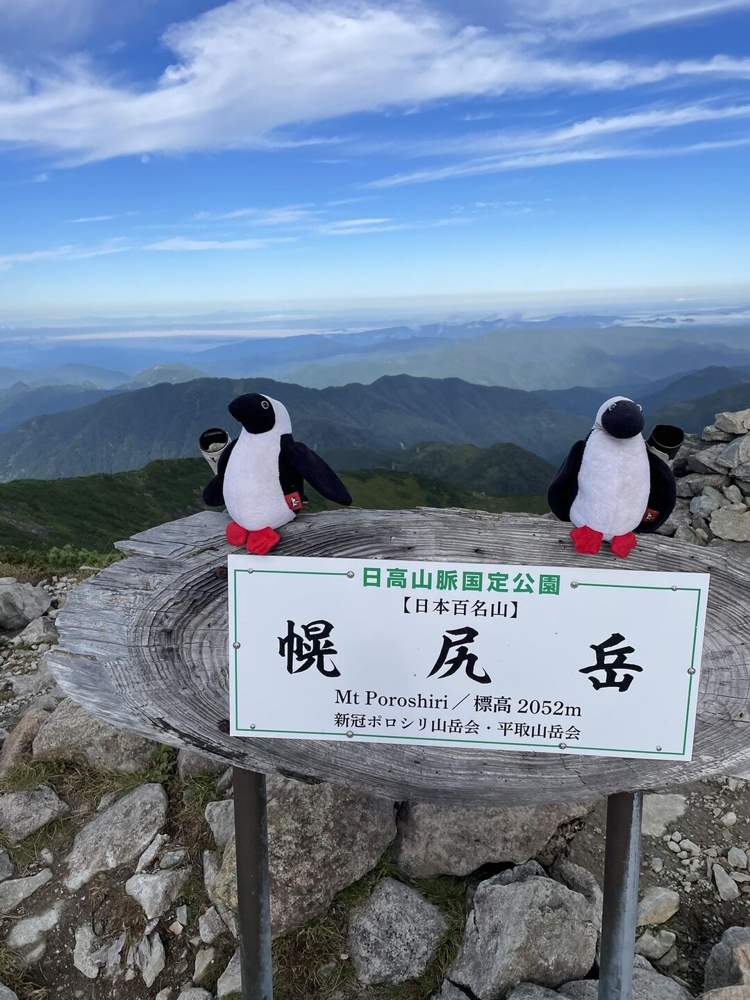 幌尻岳(おかわり) / synさんの幌尻岳・戸蔦別岳・伏美岳の活動データ | YAMAP / ヤマップ