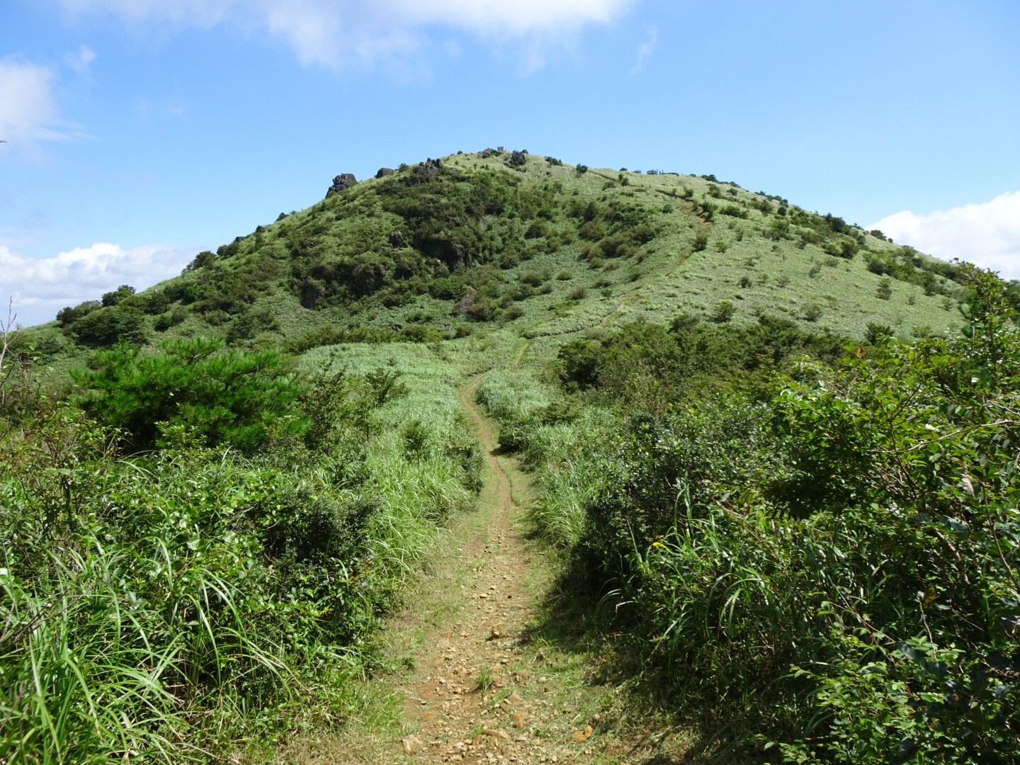 のんびり福智山と鷹取山🚶‍♂️ / katu3さんの福智山・尺岳・雲取山の活動データ | YAMAP / ヤマップ