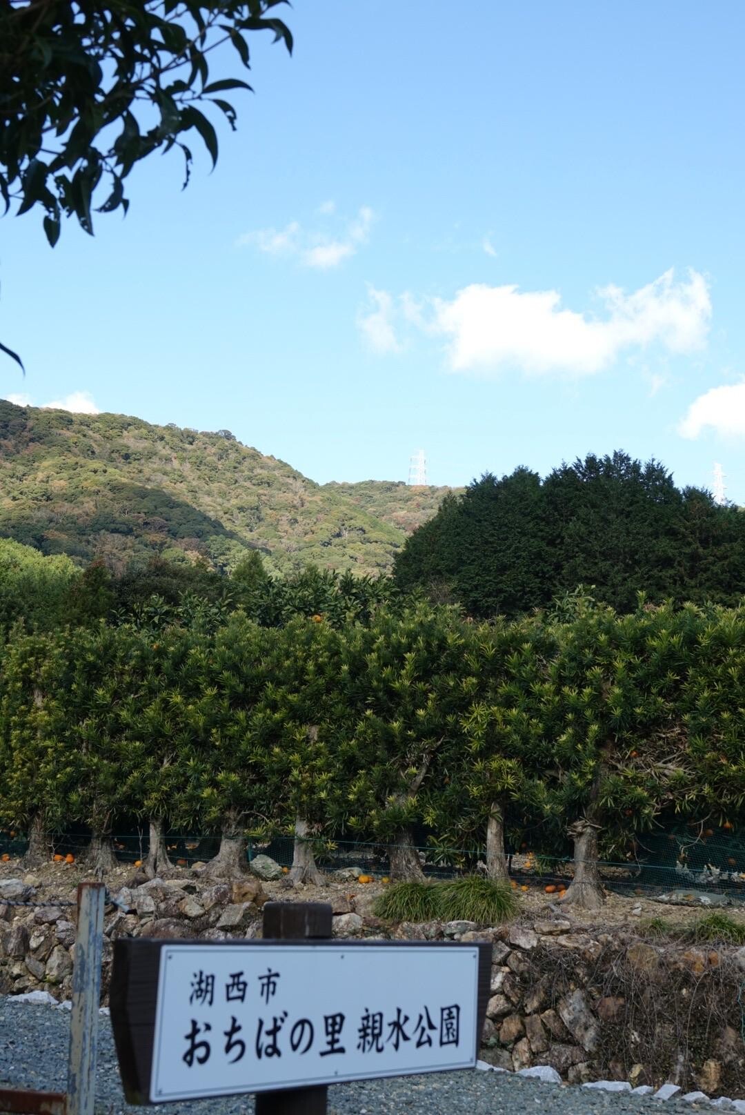 富士見岩 / Junさんの坊ヶ峰・石巻山・神石山・葦毛湿原の活動日記 | YAMAP / ヤマップ