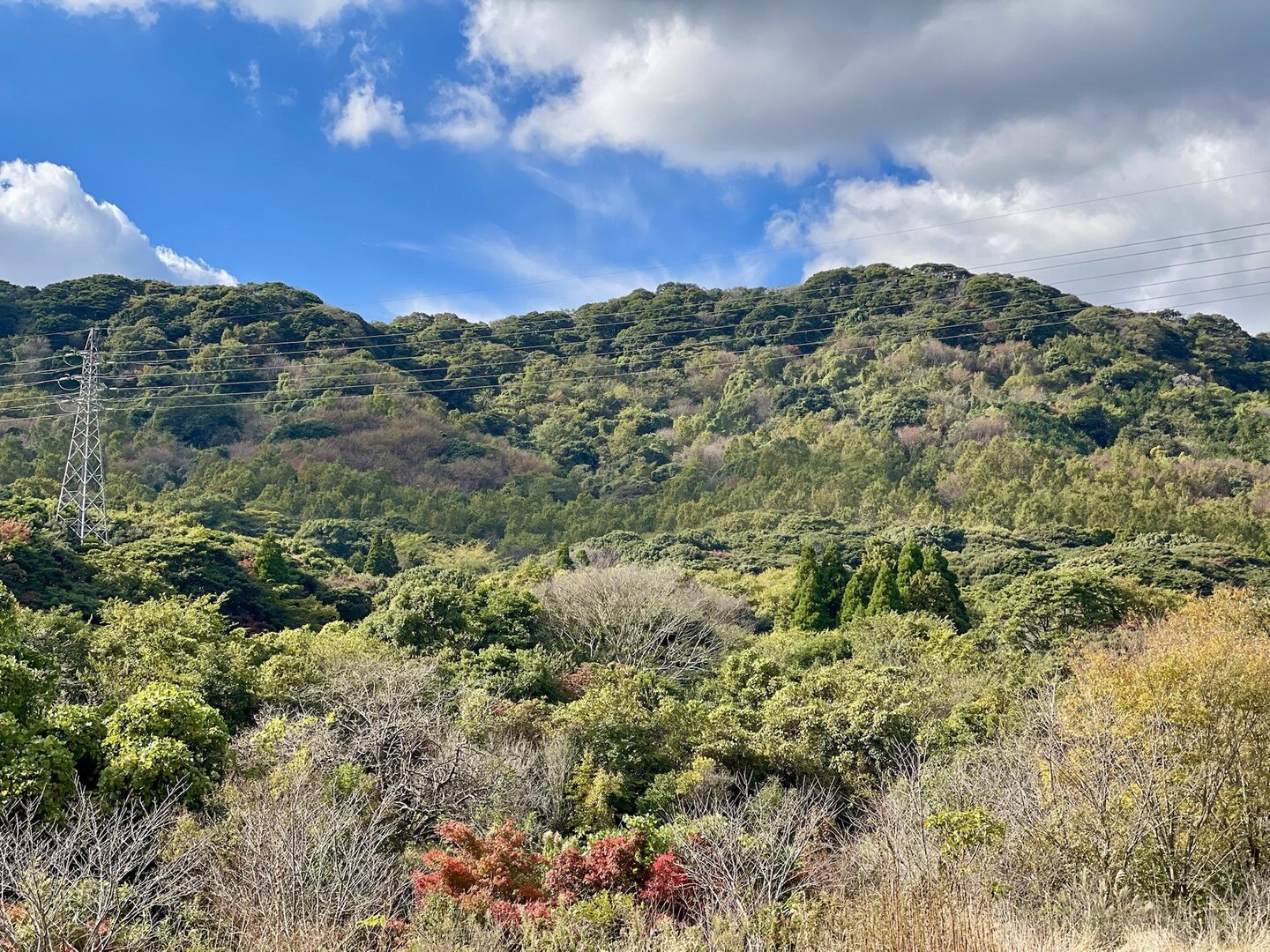 苅田アルプス⛰️10ピークGET ️ / プリンさんの高城山・苅田アルプスの活動データ | YAMAP / ヤマップ