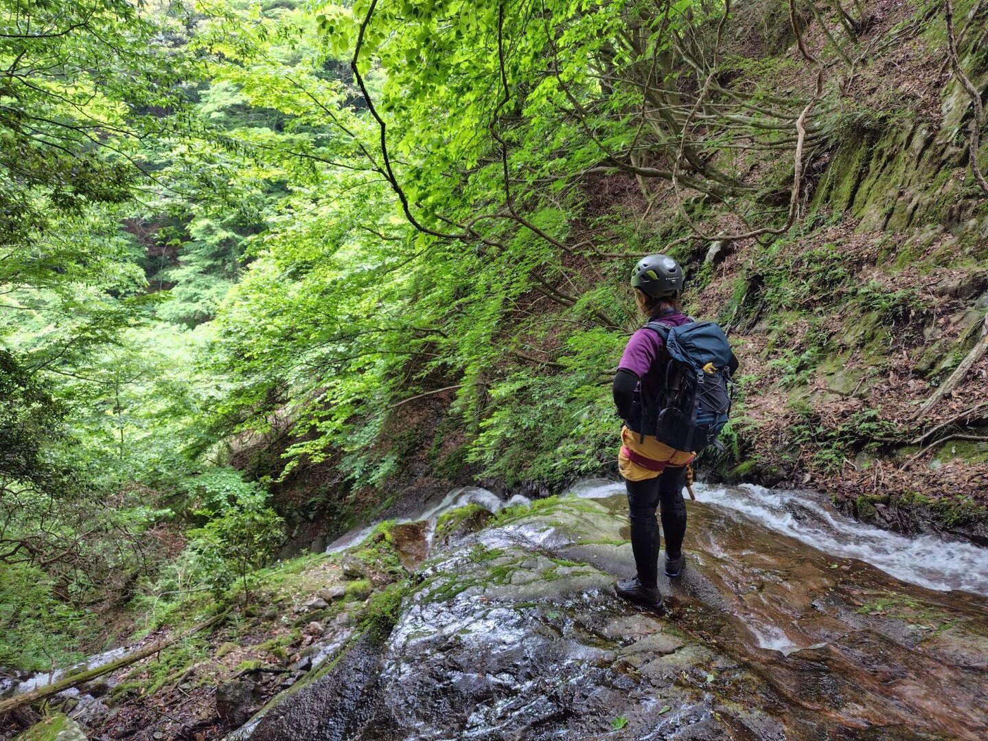 2024沢初め🐸白滝沢 / maiさんの大山の活動データ | YAMAP / ヤマップ