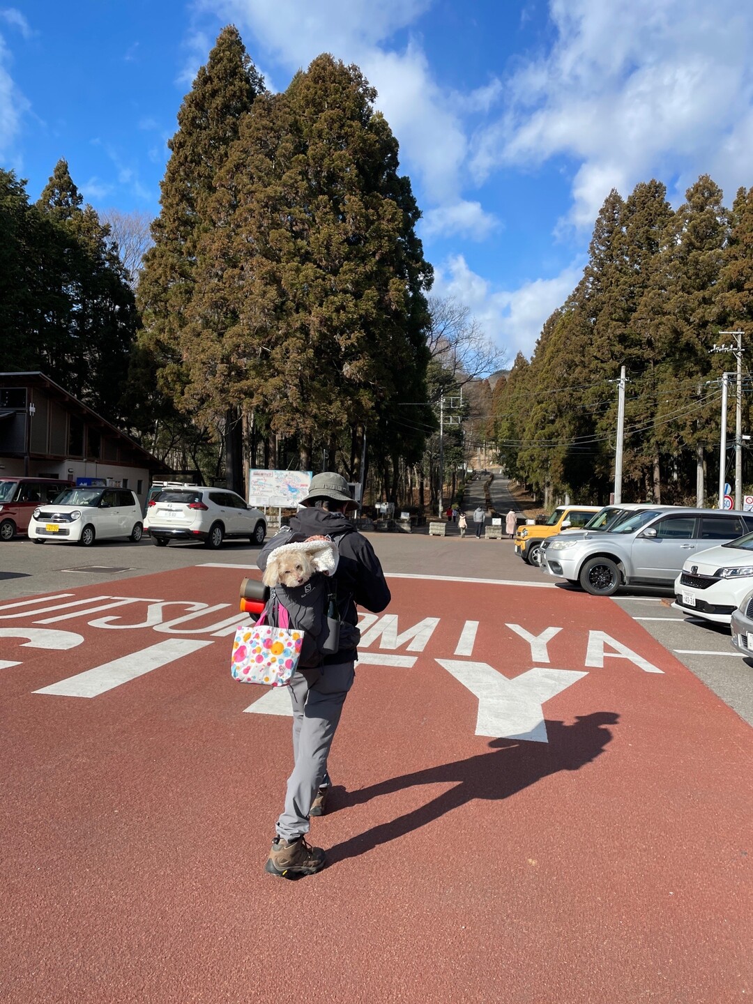 540P・斑根石山 / NNさんの古賀志山・赤岩山・鞍掛山・男抱山・半蔵山の活動データ | YAMAP / ヤマップ