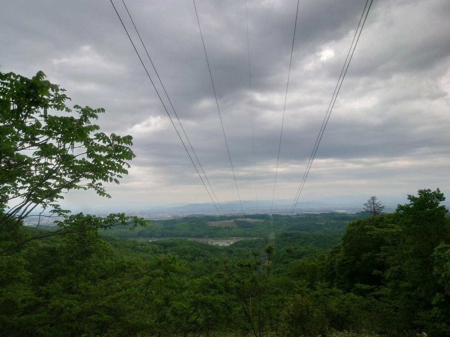 カムイの杜トレイルラン 23km / としさんの伊之沢山・丸山の活動データ | YAMAP / ヤマップ