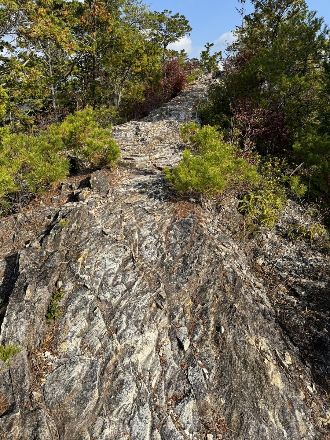 宇連山→鳳来寺山 岩尾根の後は登り / tatsuさんの宇連山・鳳来寺山・岩古谷山の活動データ | YAMAP / ヤマップ